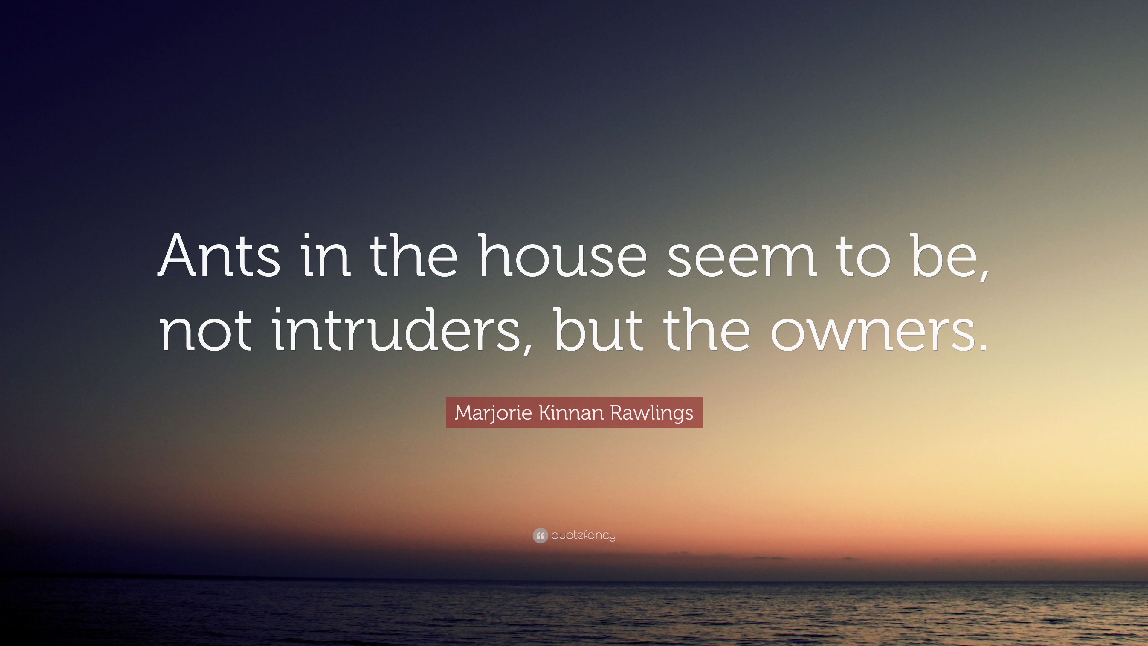 Marjorie Kinnan Rawlings Quote: “Ants in the house seem to be, not ...
