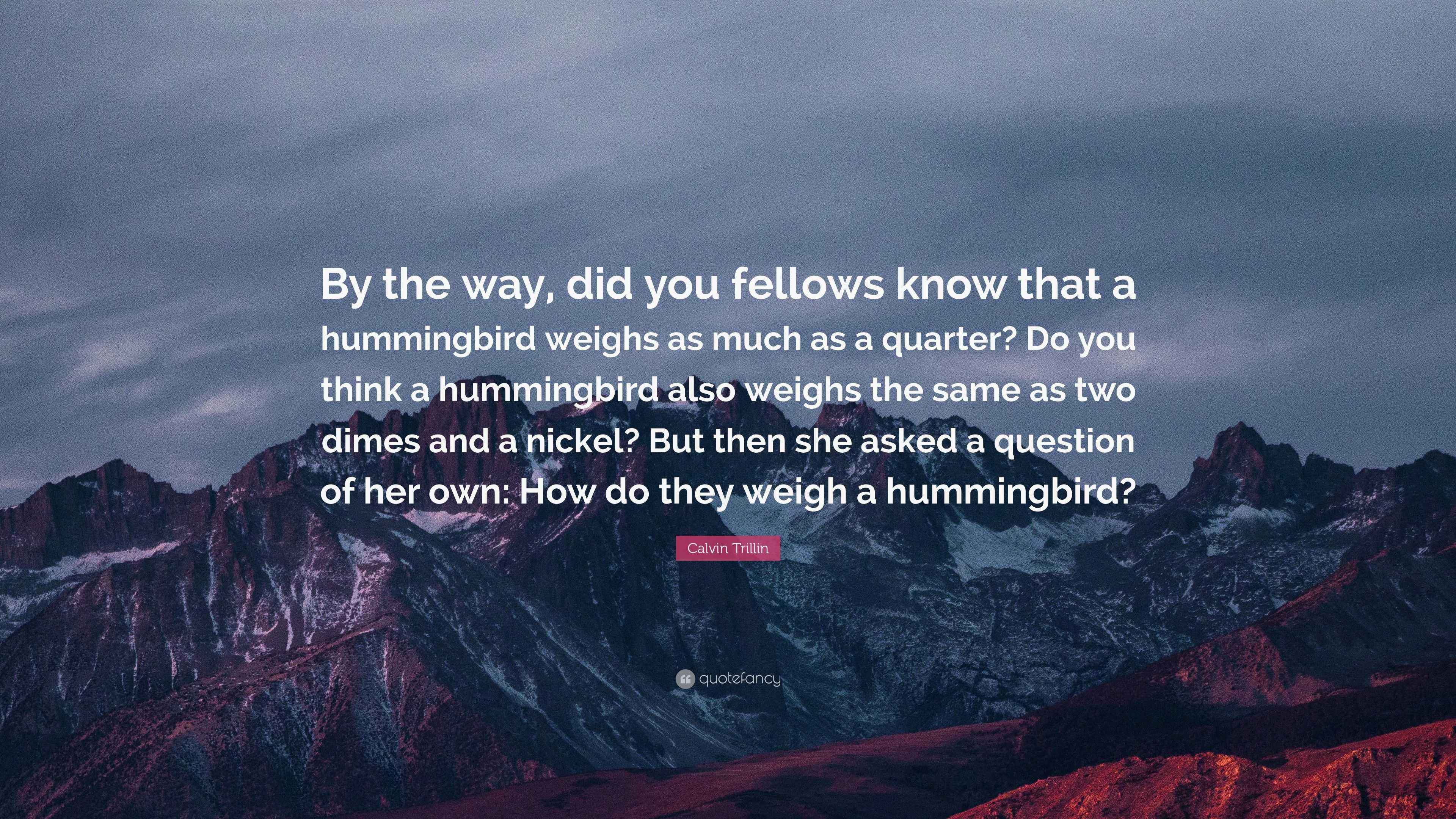 Calvin Trillin Quote: “By the way, did you fellows know that a ...