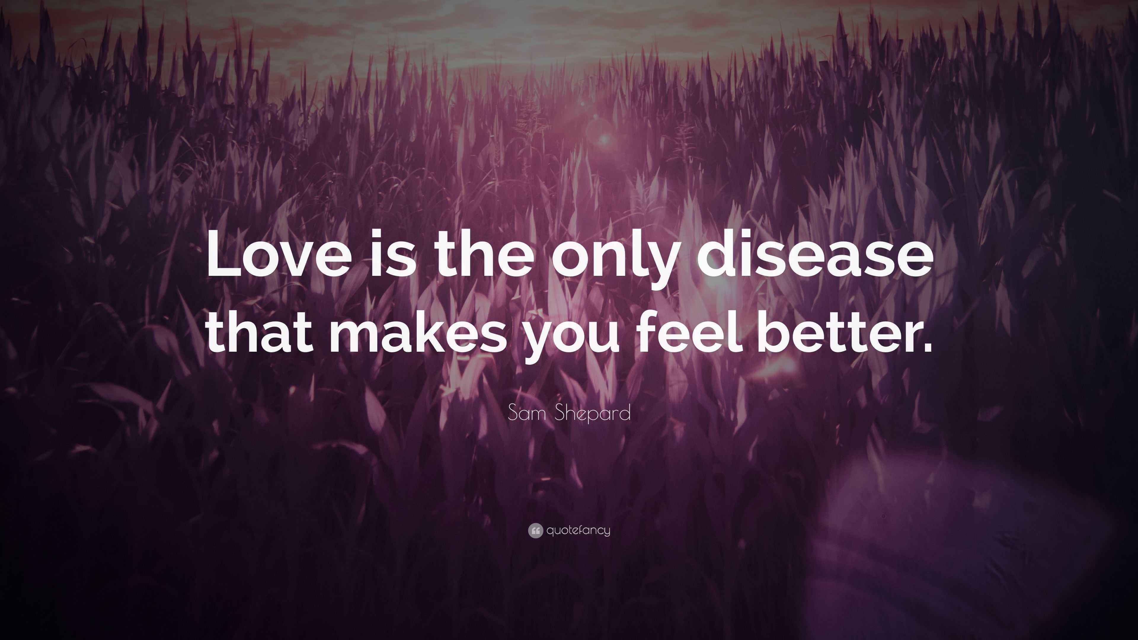 Sam Shepard Quote: “Love is the only disease that makes you feel better.”