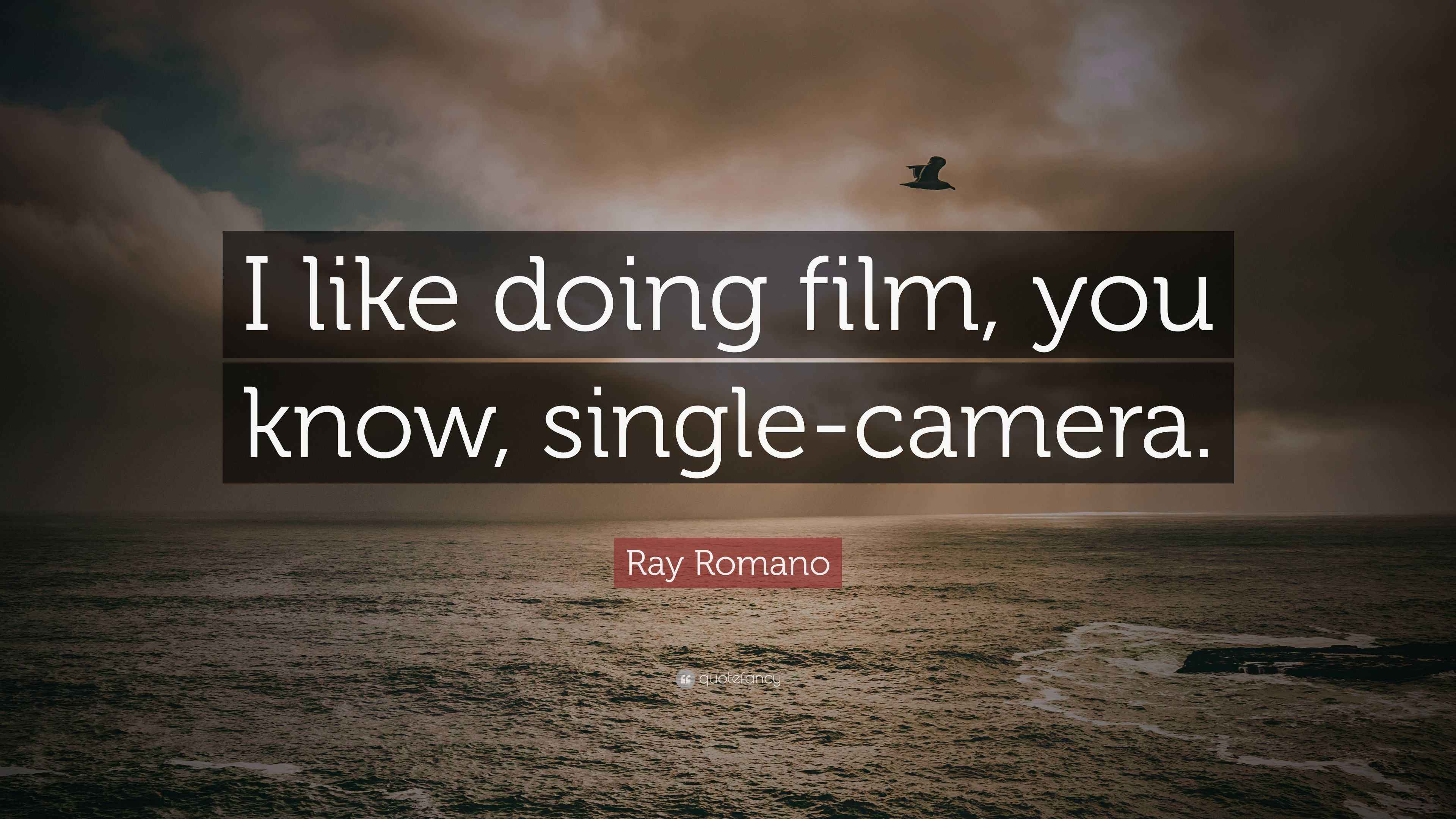 Ray Romano Quote: “I like doing film, you know, single-camera.”