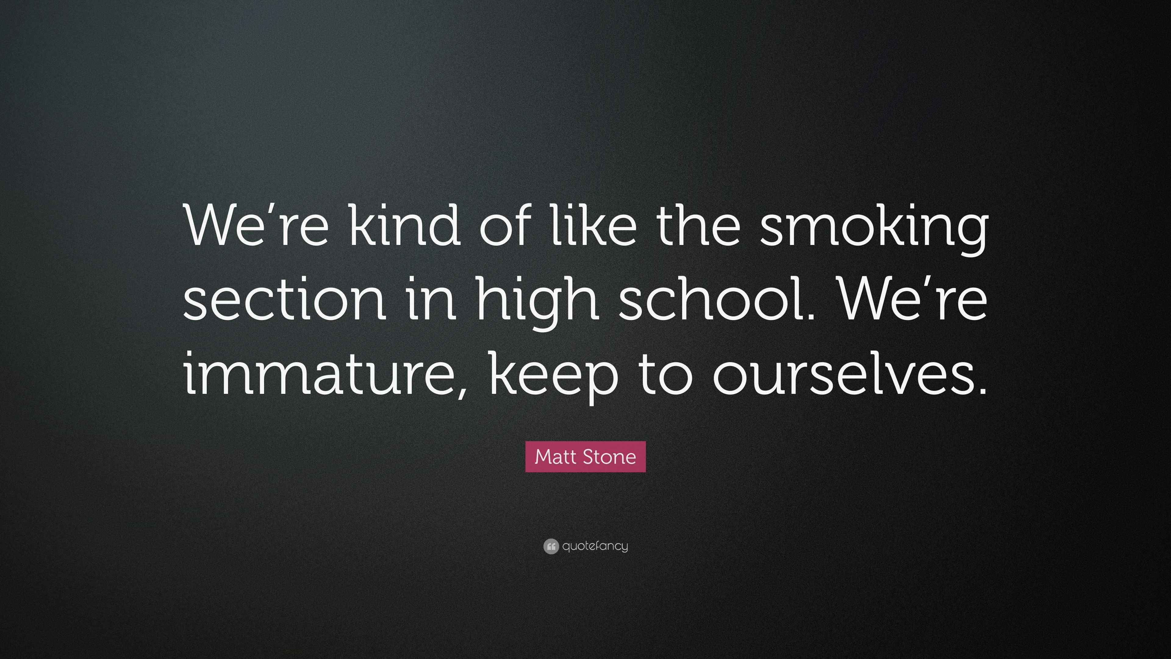 Matt Stone Quote: “We’re kind of like the smoking section in high ...