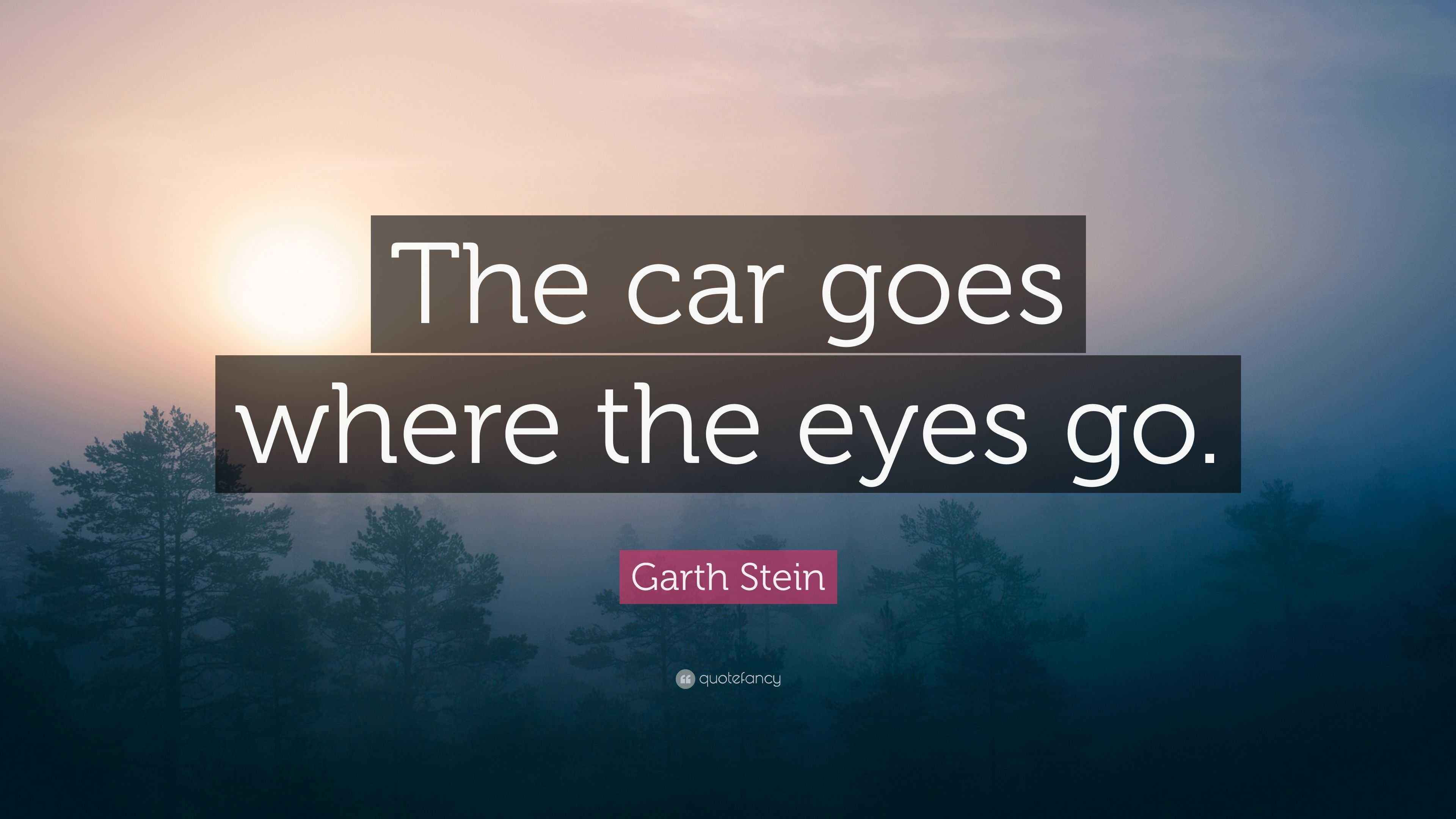 Garth Stein Quote: “The car goes where the eyes go.”