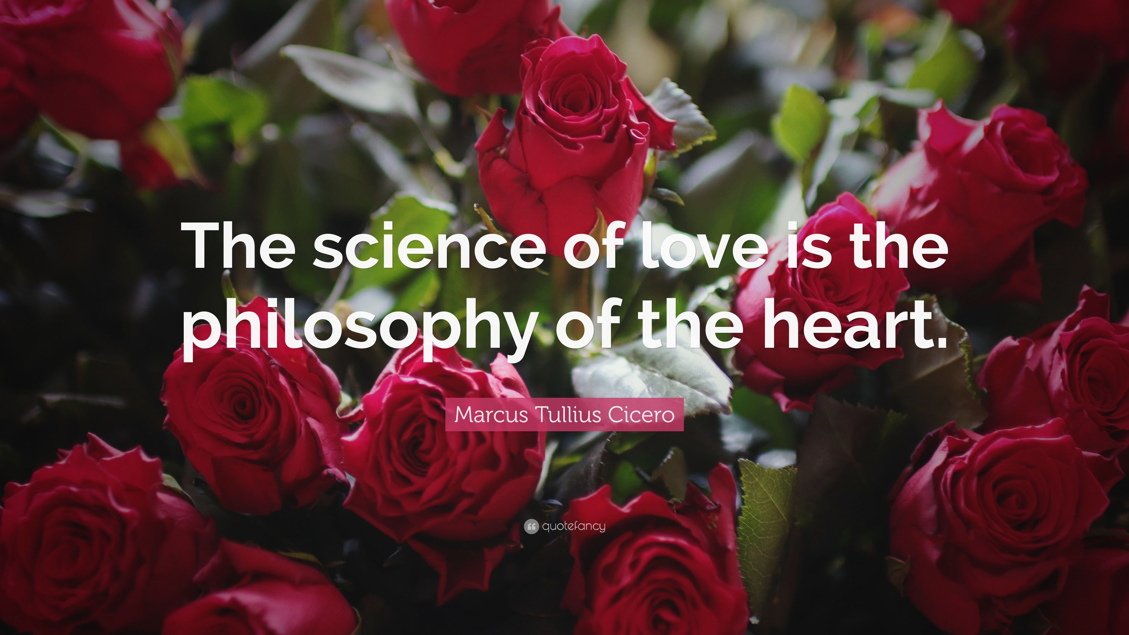 Marcus Tullius Cicero Quote: “The science of love is the philosophy of ...