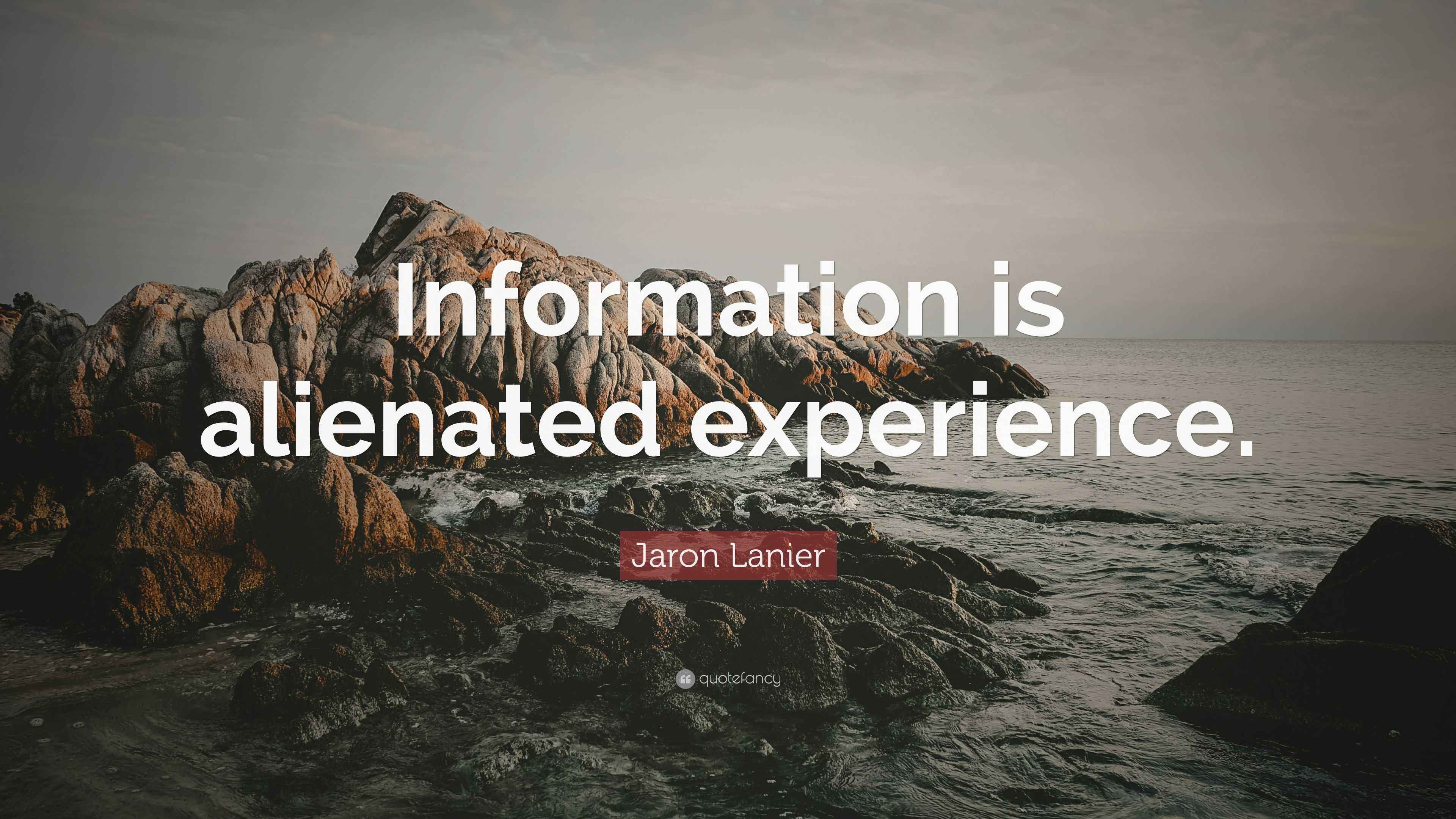 Jaron Lanier Quote: “Information is alienated experience.”