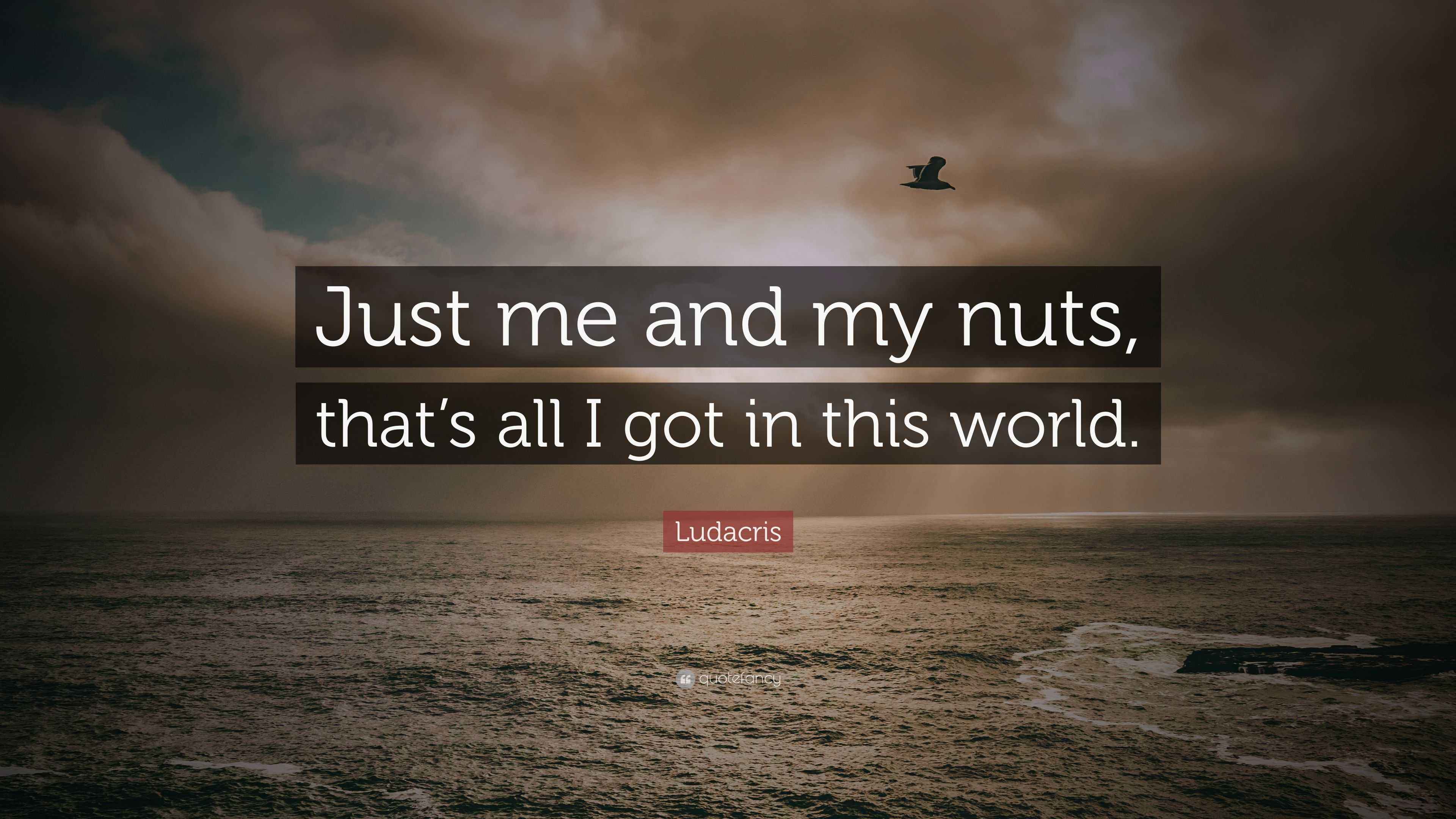 Ludacris Quote: “Just me and my nuts, that’s all I got in this world.”