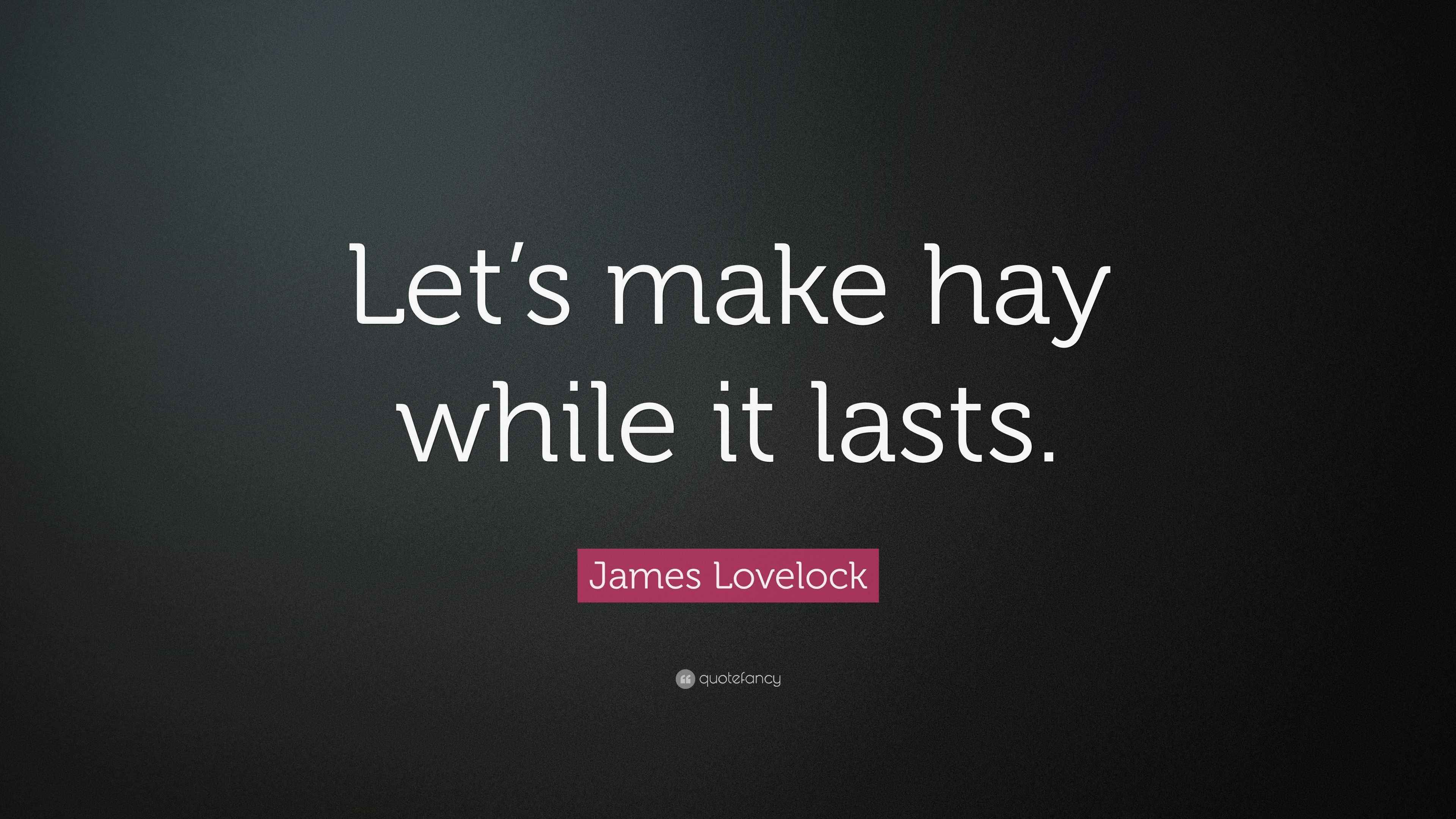 James Lovelock Quote: “Let’s make hay while it lasts.”