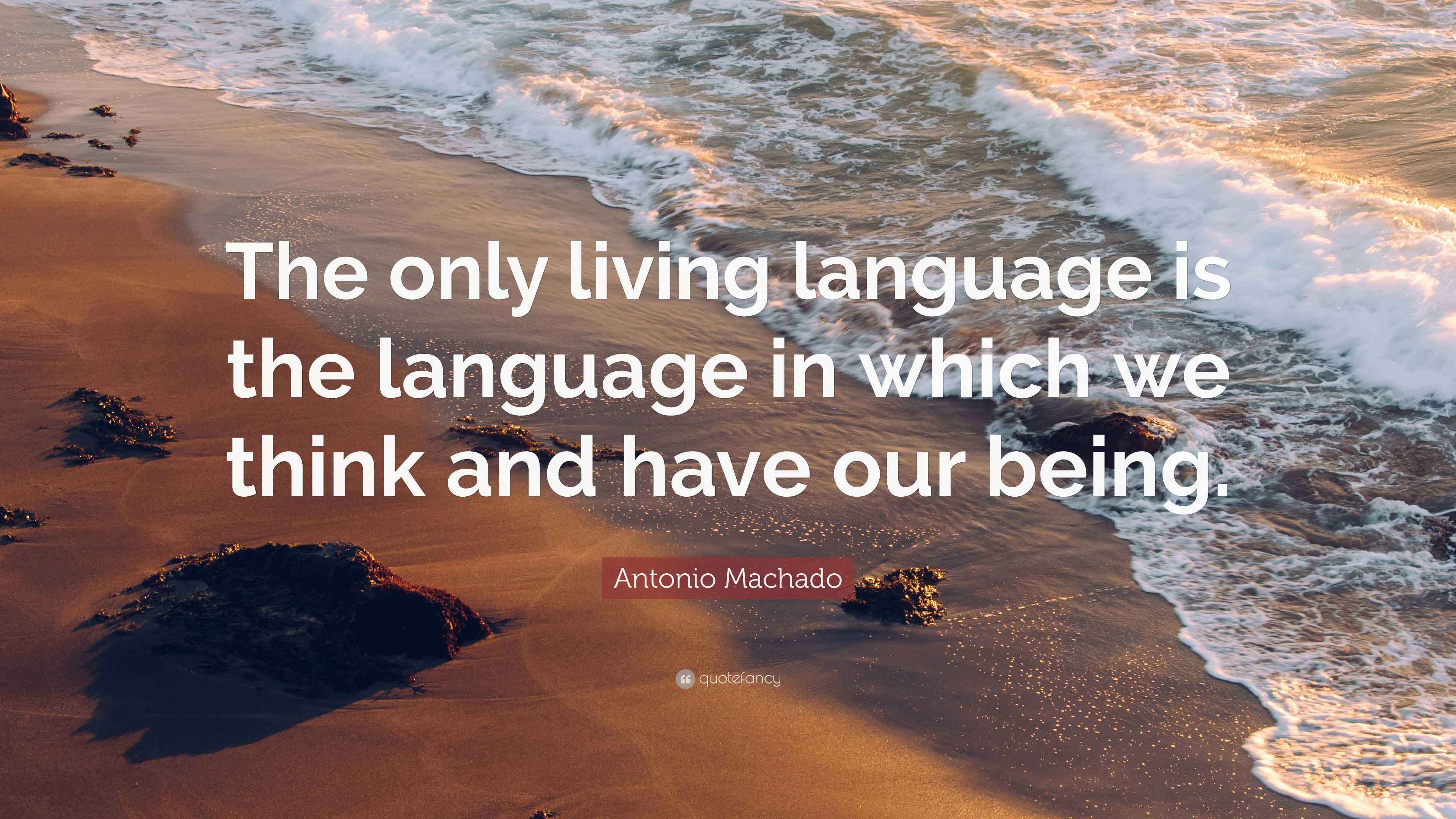 Antonio Machado Quote: “The only living language is the language in ...