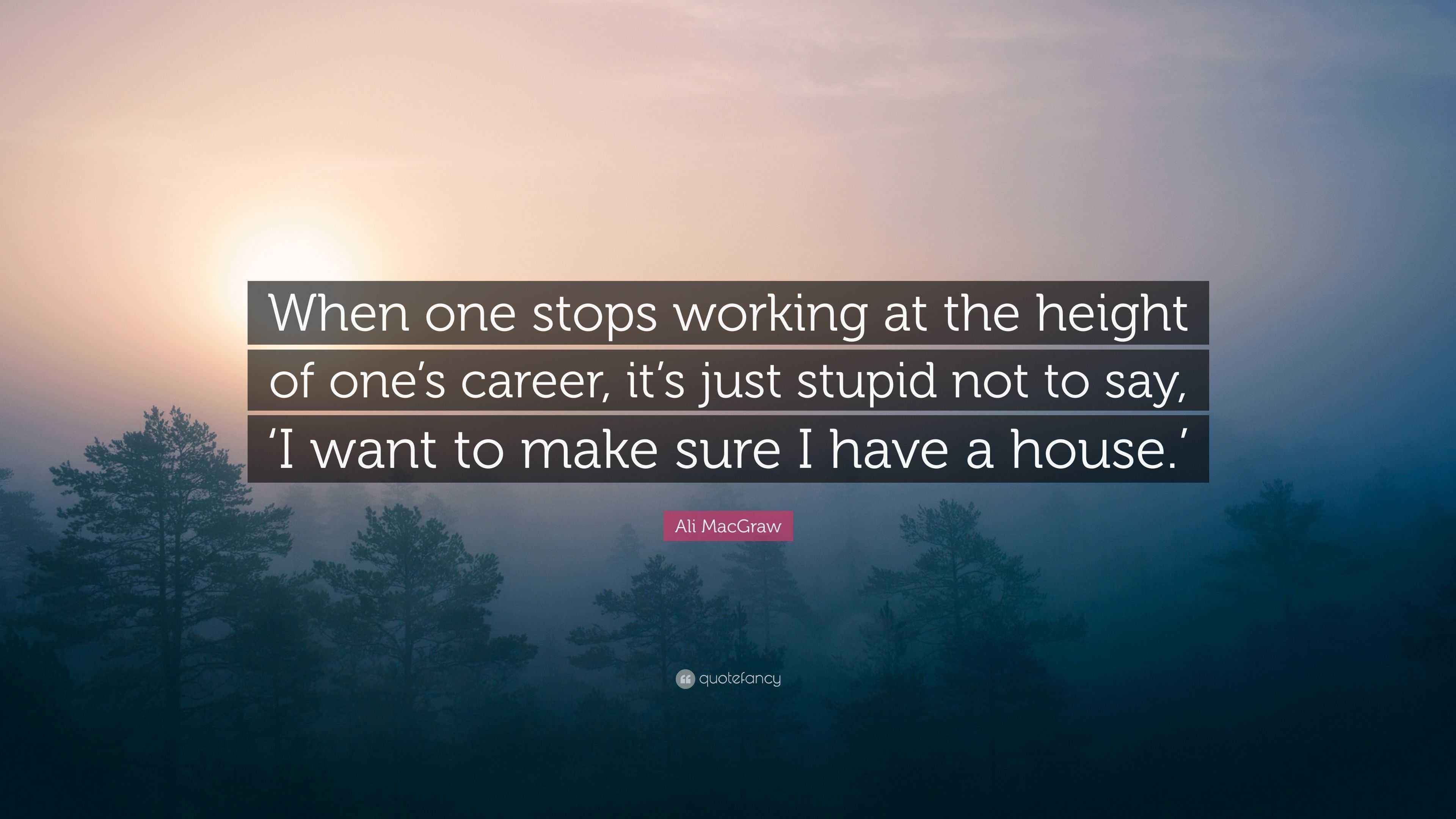 Ali MacGraw Quote: “When one stops working at the height of one’s ...