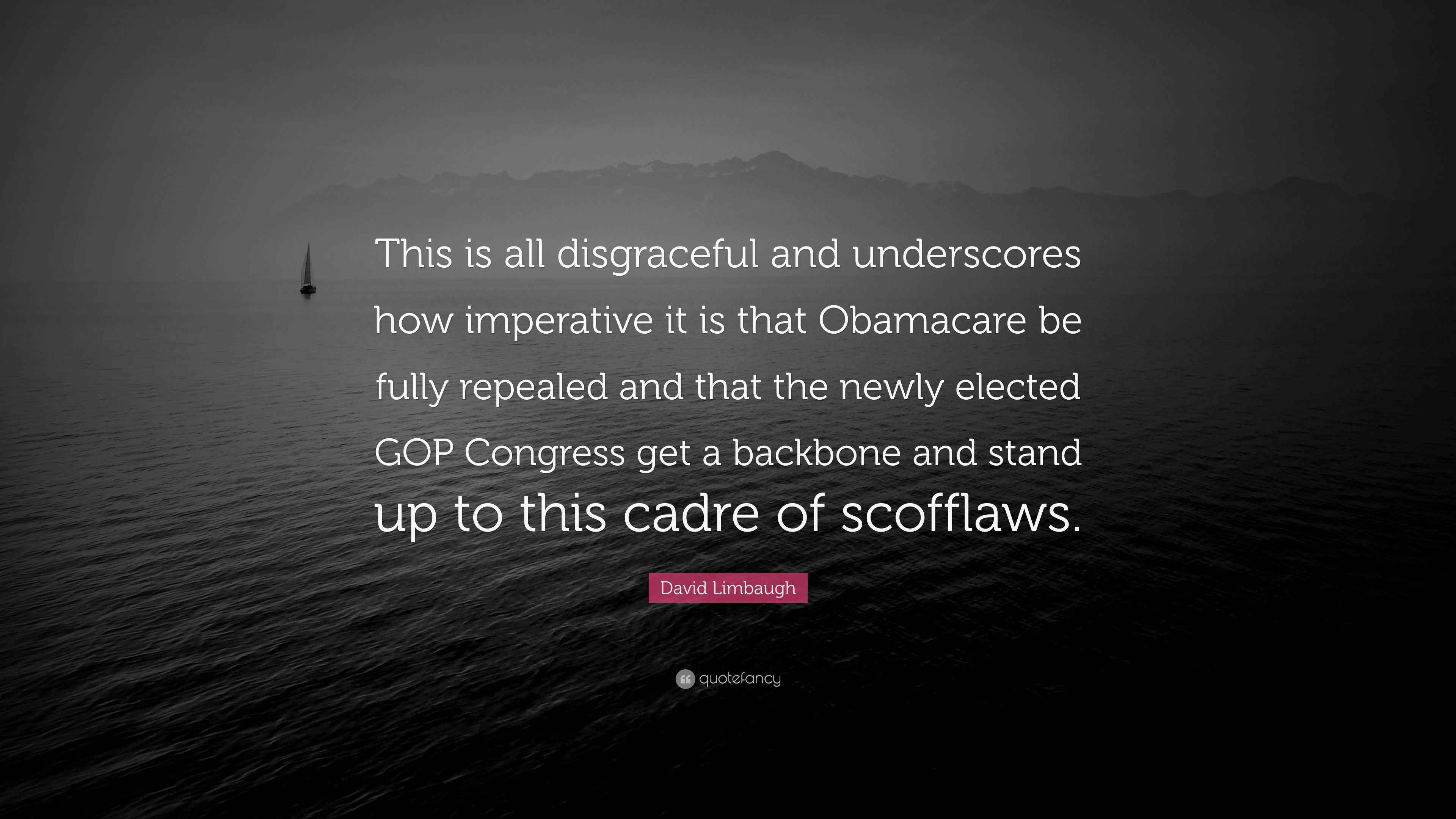 David Limbaugh Quote: “This is all disgraceful and underscores how ...