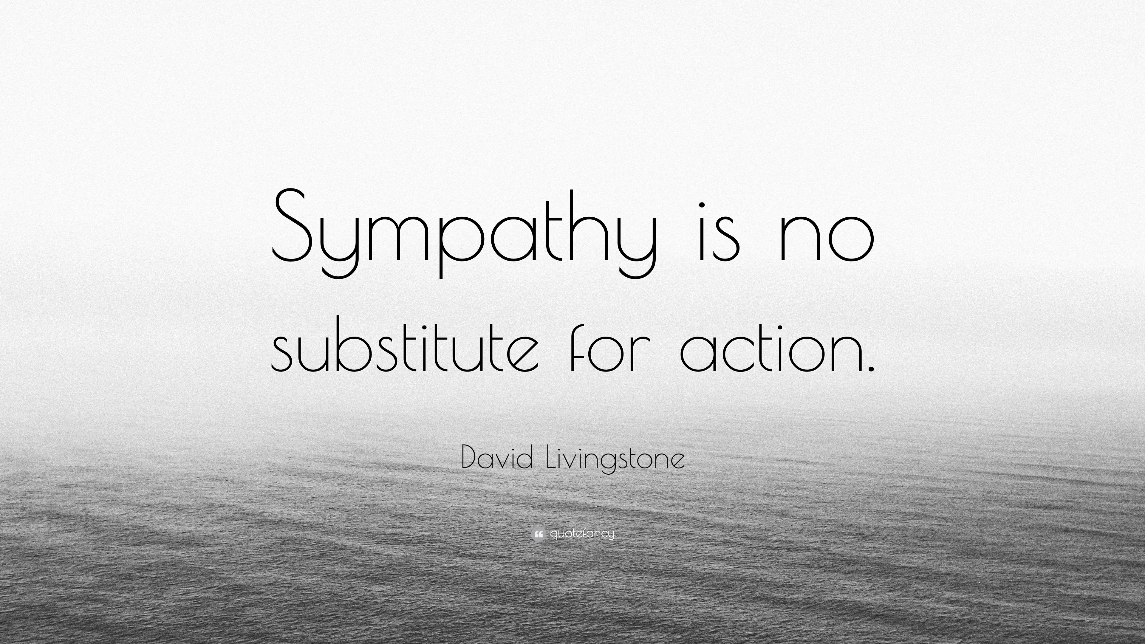 David Livingstone Quote: “Sympathy is no substitute for action.”