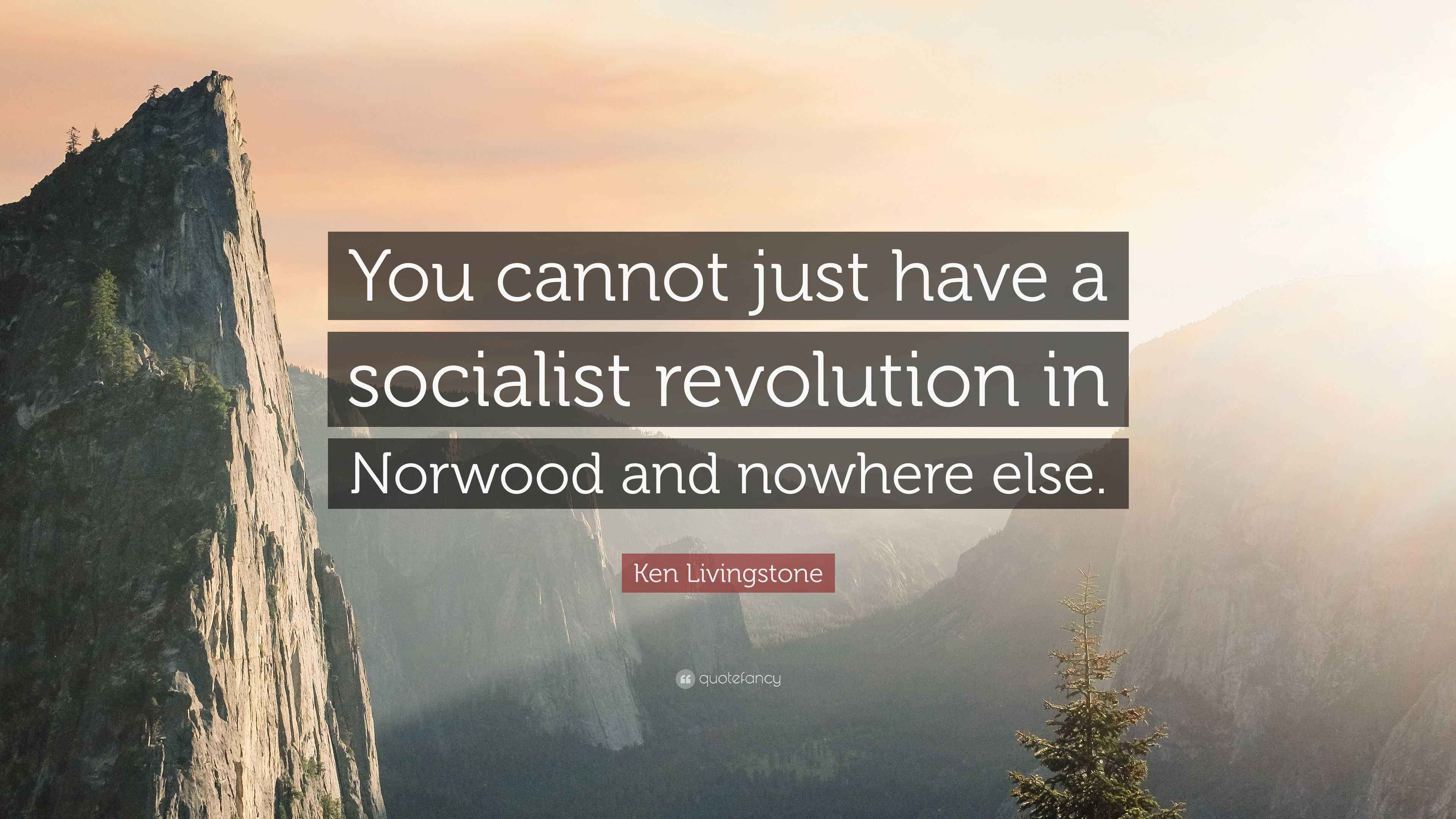 Ken Livingstone Quote: “You cannot just have a socialist revolution in ...
