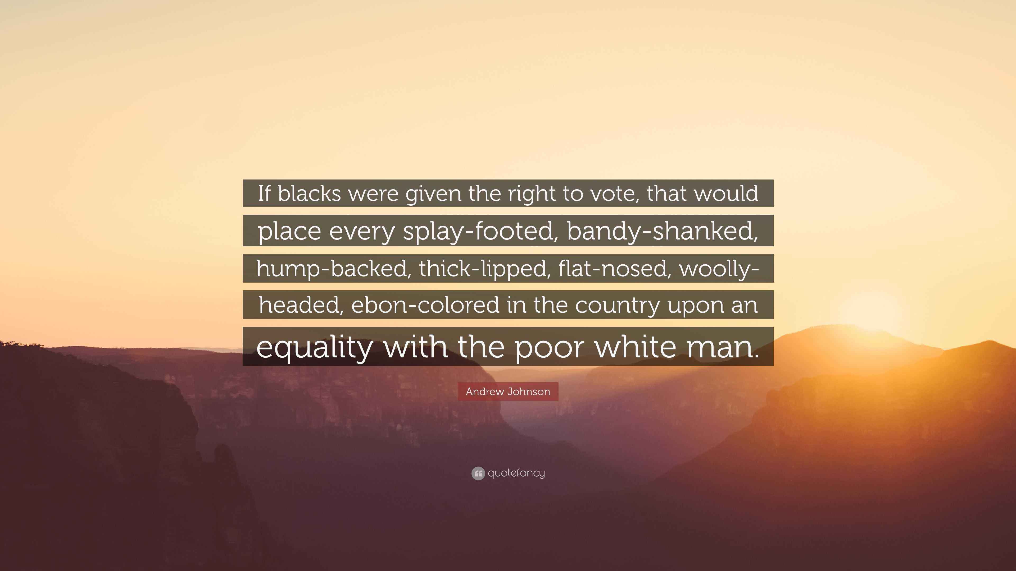 Andrew Johnson Quote: “If blacks were given the right to vote, that ...