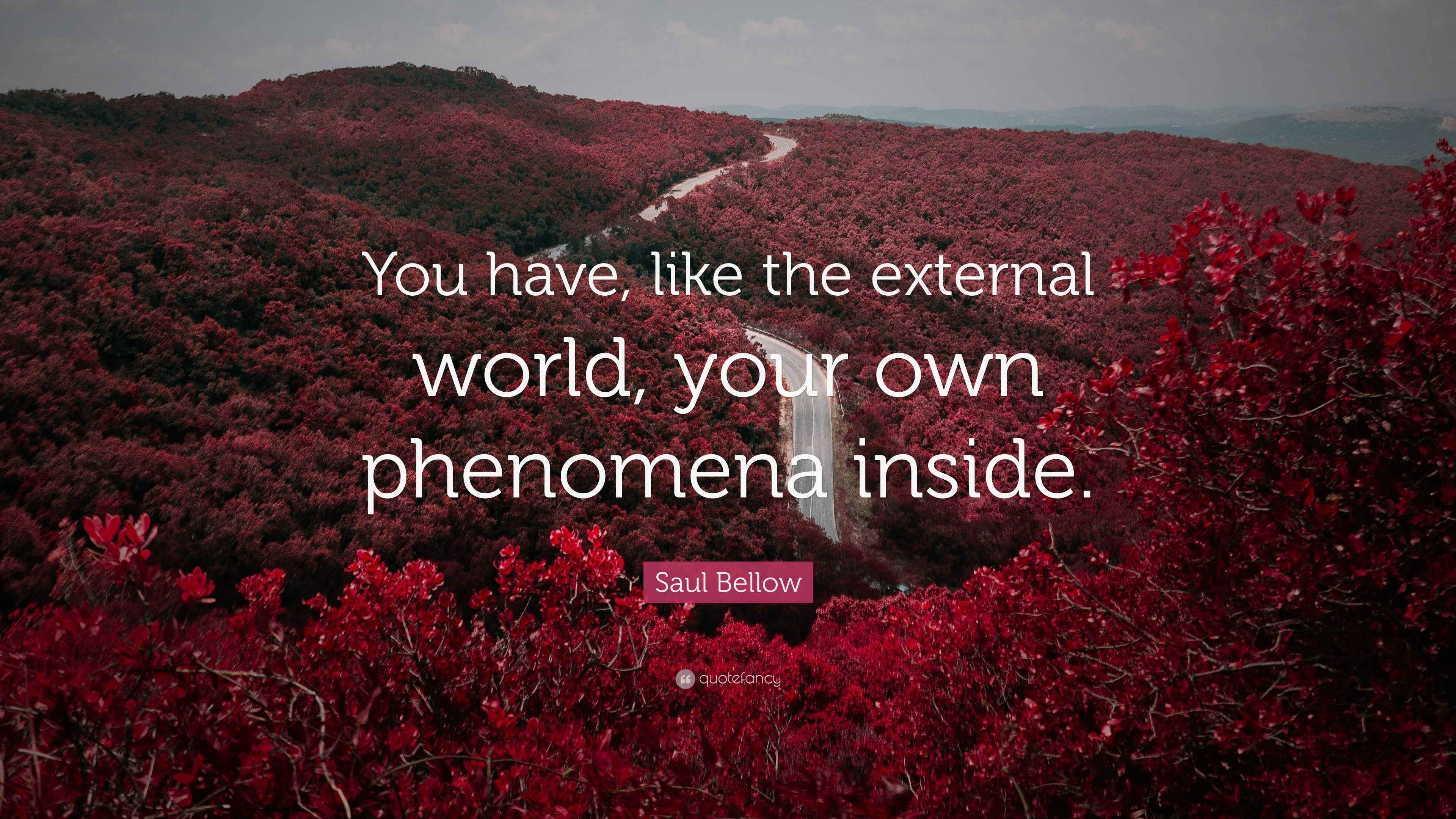 Saul Bellow Quote: “You have, like the external world, your own ...