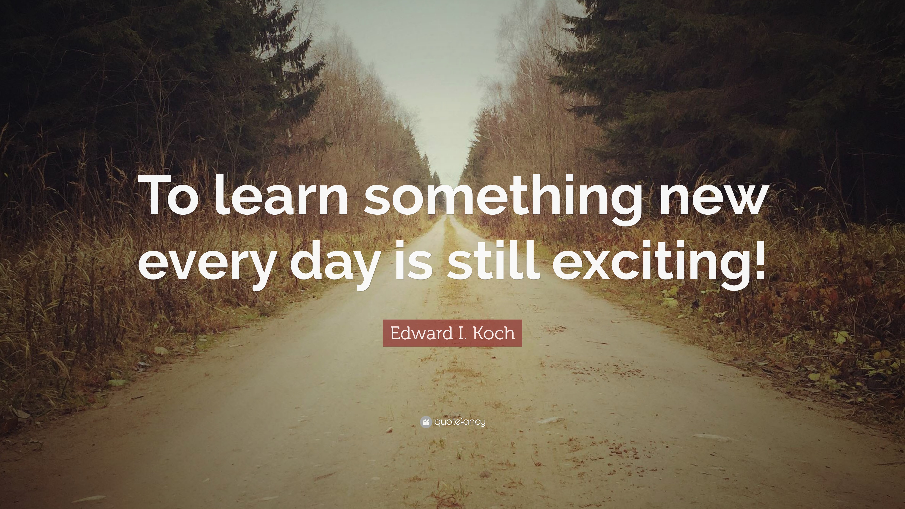 Edward I. Koch Quote: “To learn something new every day is still exciting!”