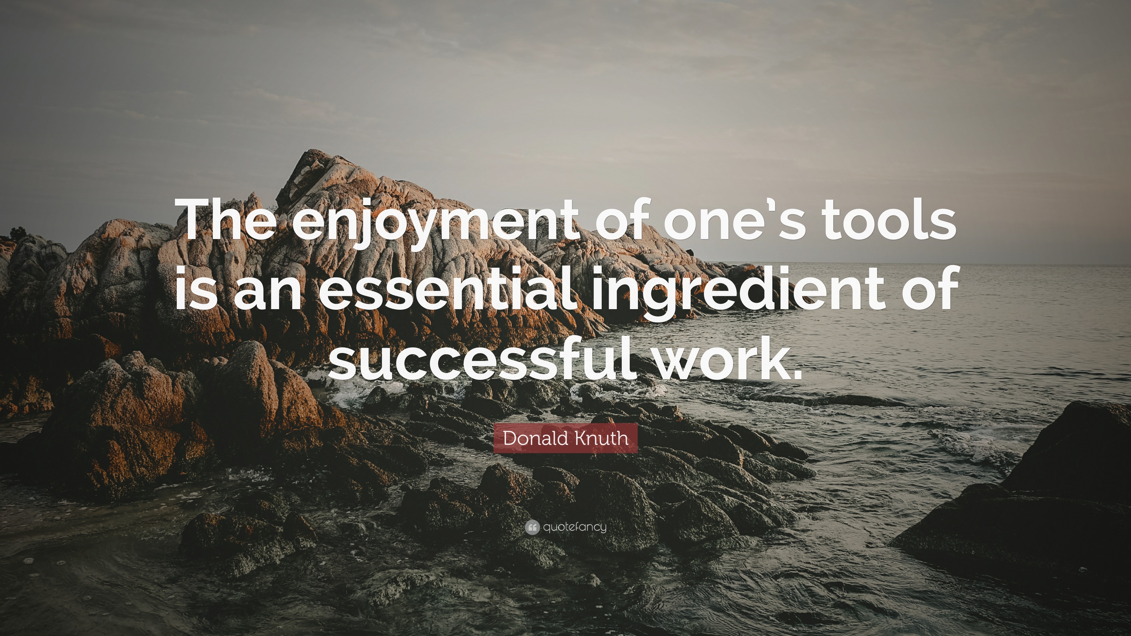 Donald Knuth Quote: “The enjoyment of one’s tools is an essential ...