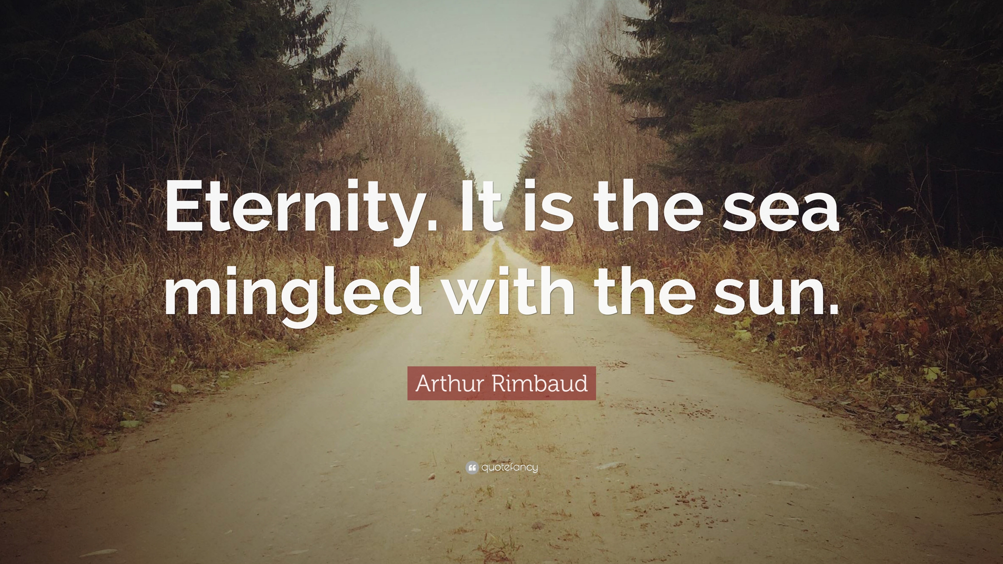 Arthur Rimbaud Quote: “Eternity. It is the sea mingled with the sun.”