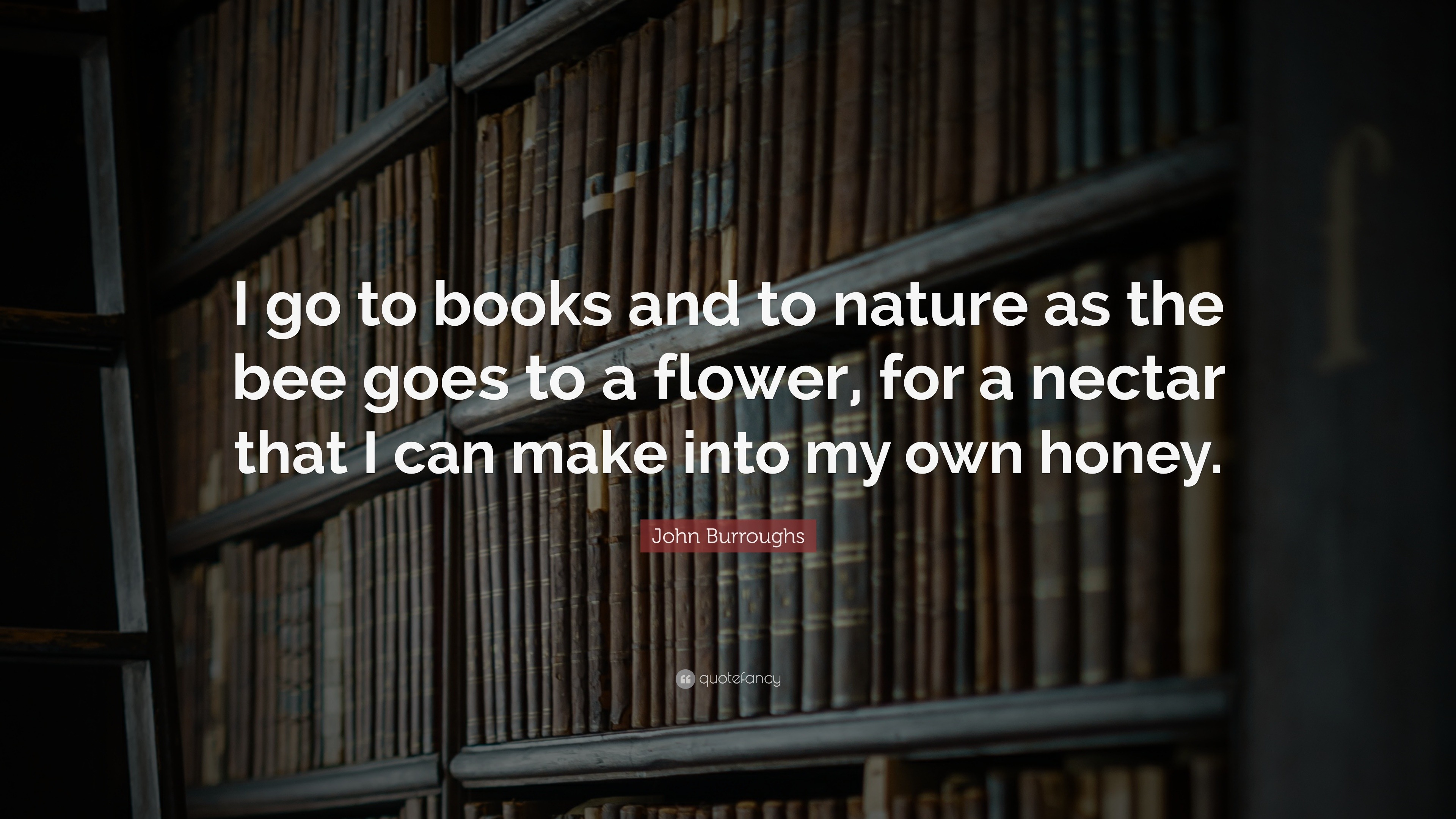 John Burroughs Quote: “I go to books and to nature as the bee goes to a ...
