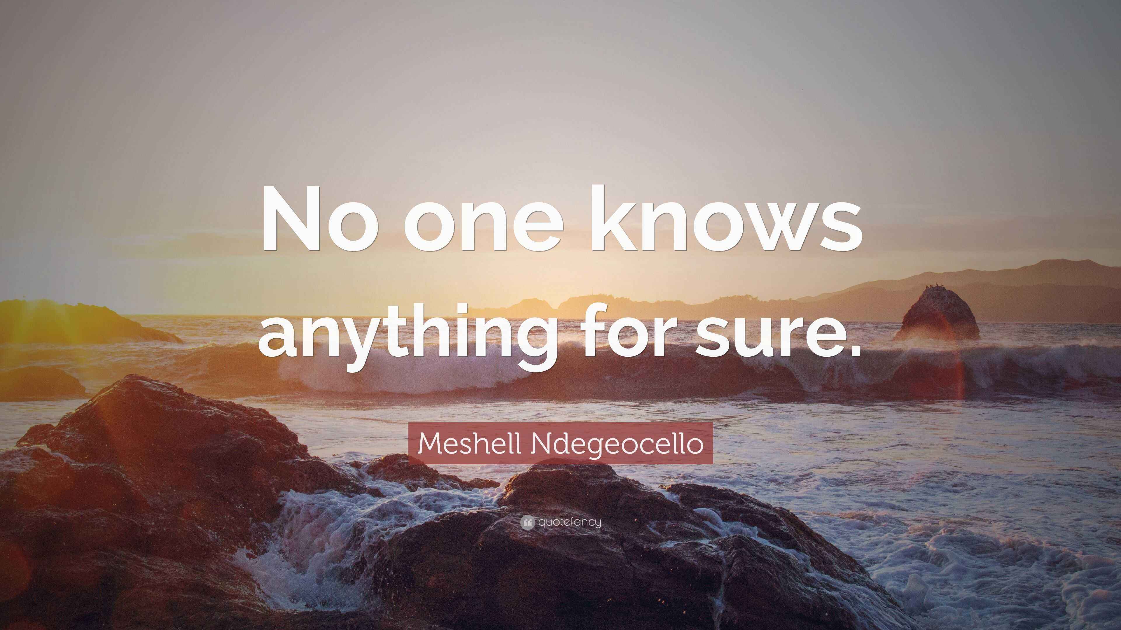 Meshell Ndegeocello Quote: “No one knows anything for sure.”