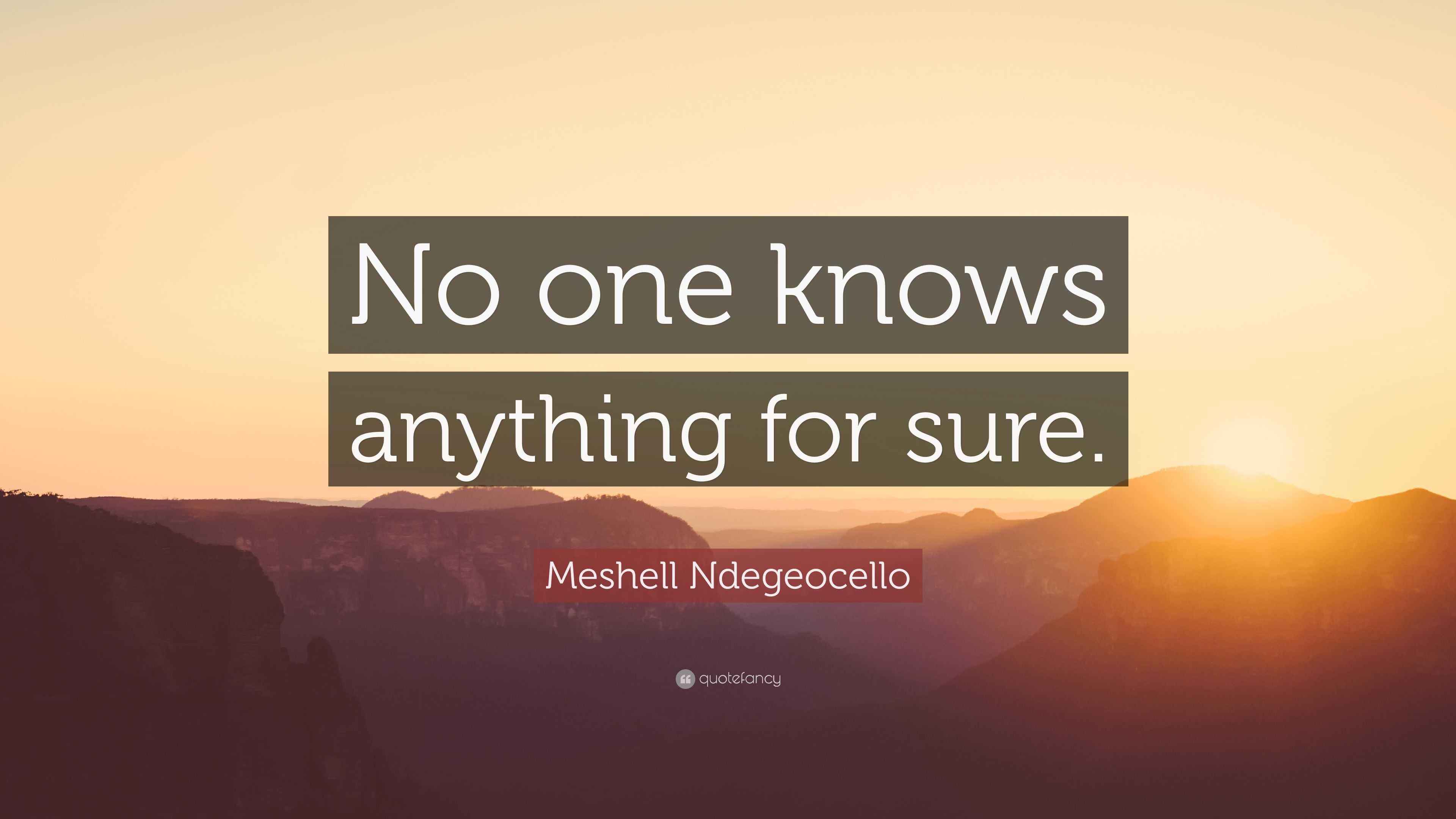 Meshell Ndegeocello Quote: “No one knows anything for sure.”