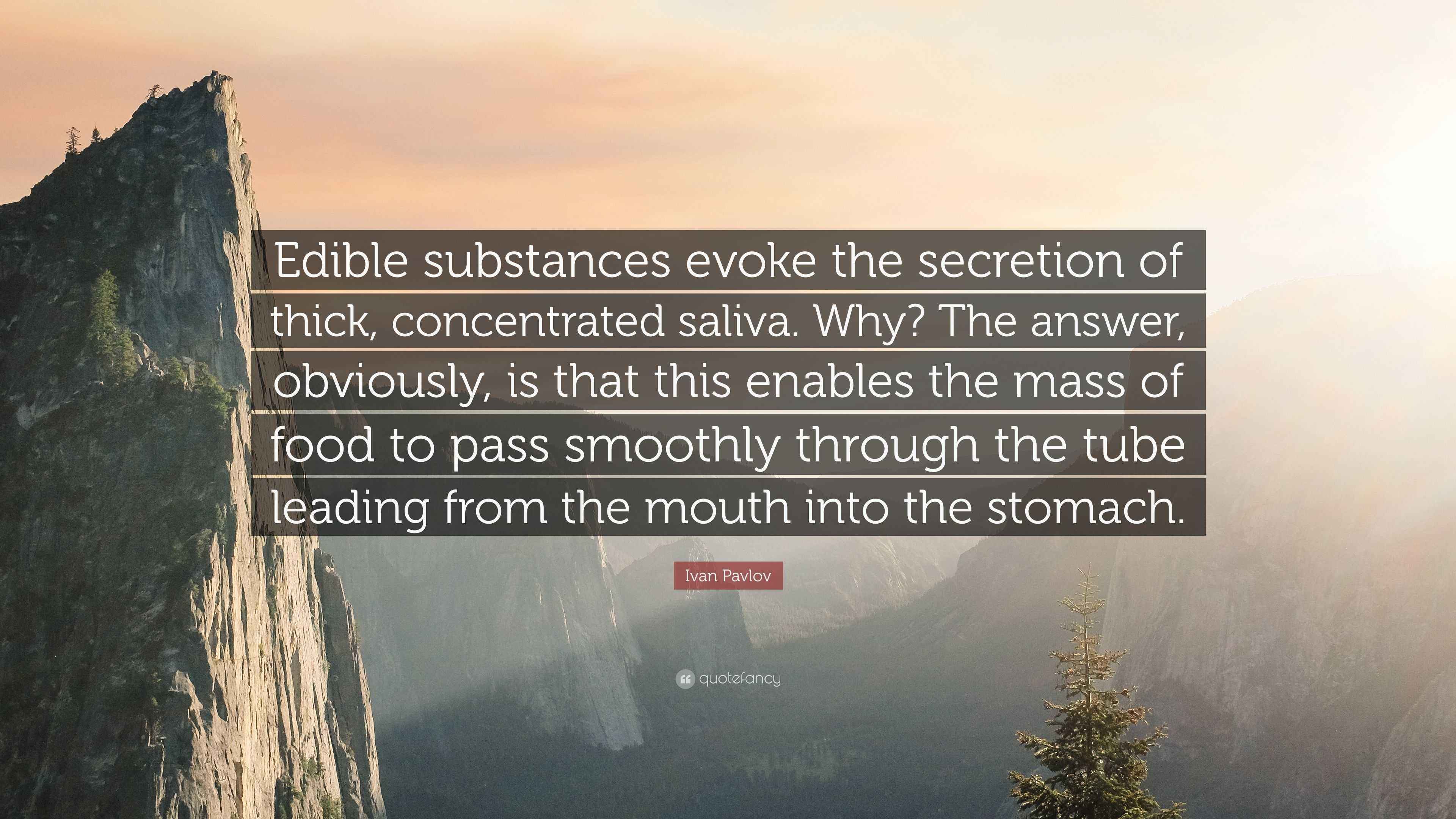 Ivan Pavlov Quote: “Edible substances evoke the secretion of thick ...