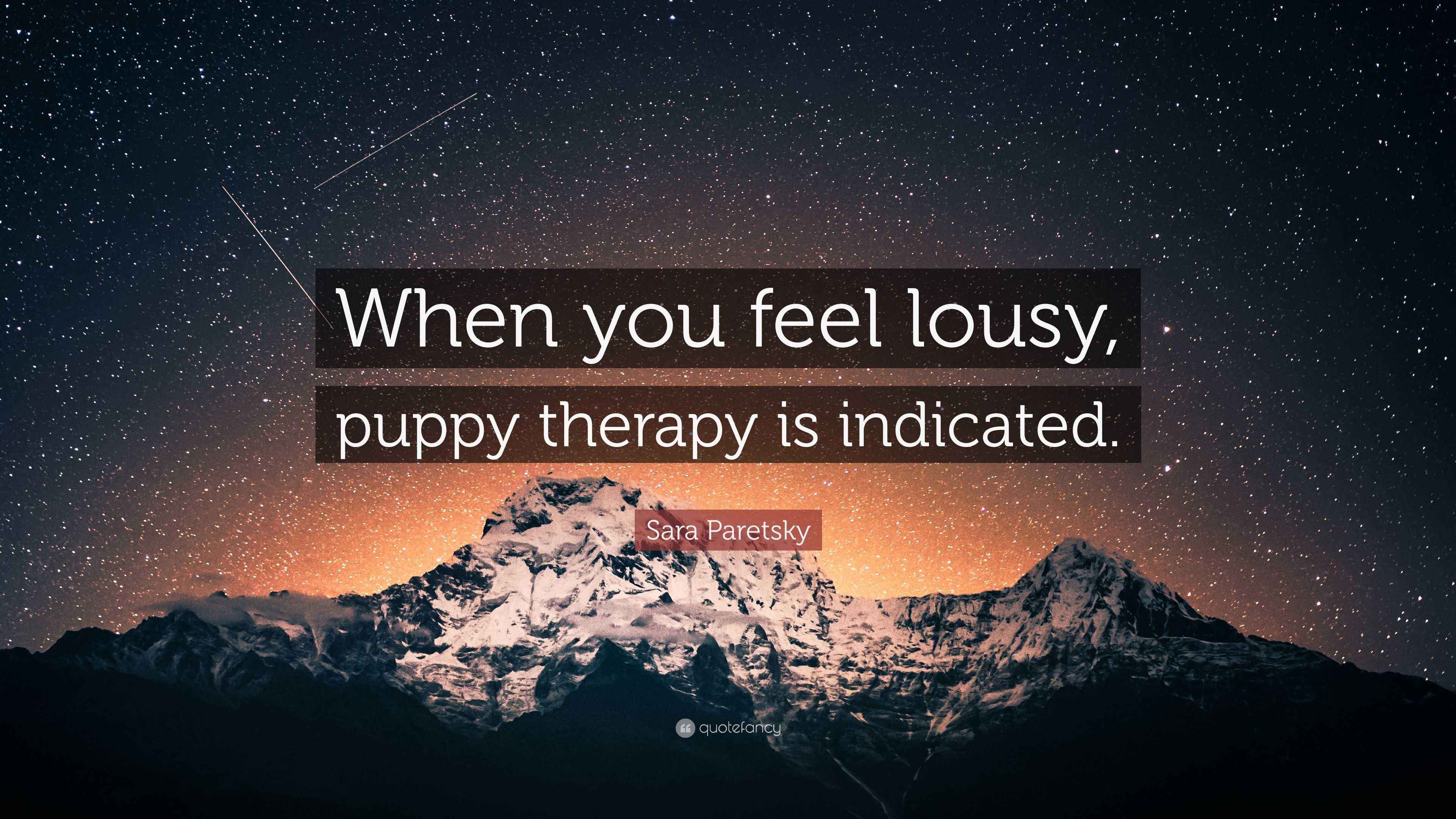 Sara Paretsky Quote: “When you feel lousy, puppy therapy is indicated.”