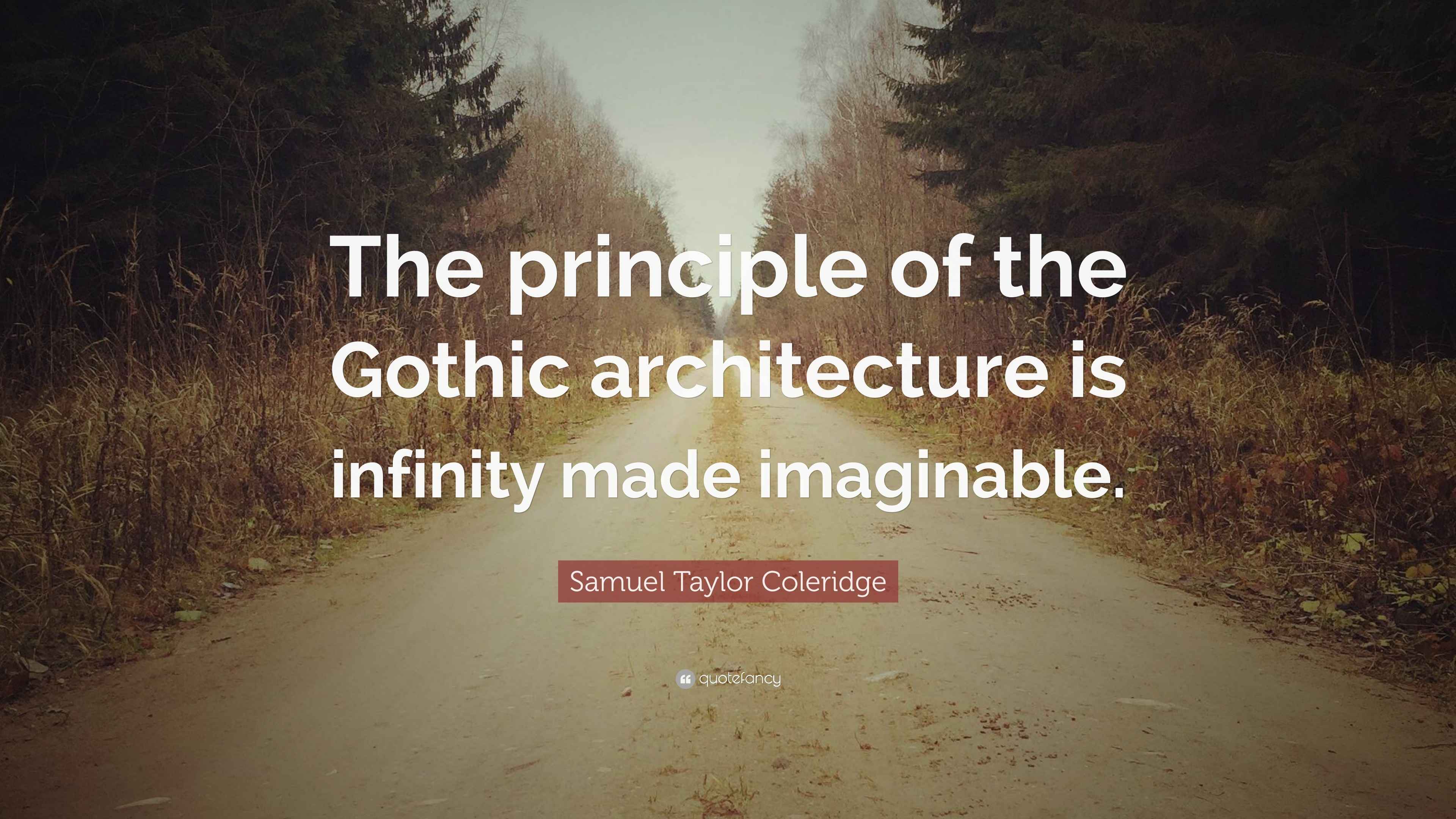 Samuel Taylor Coleridge Quote: “The principle of the Gothic ...