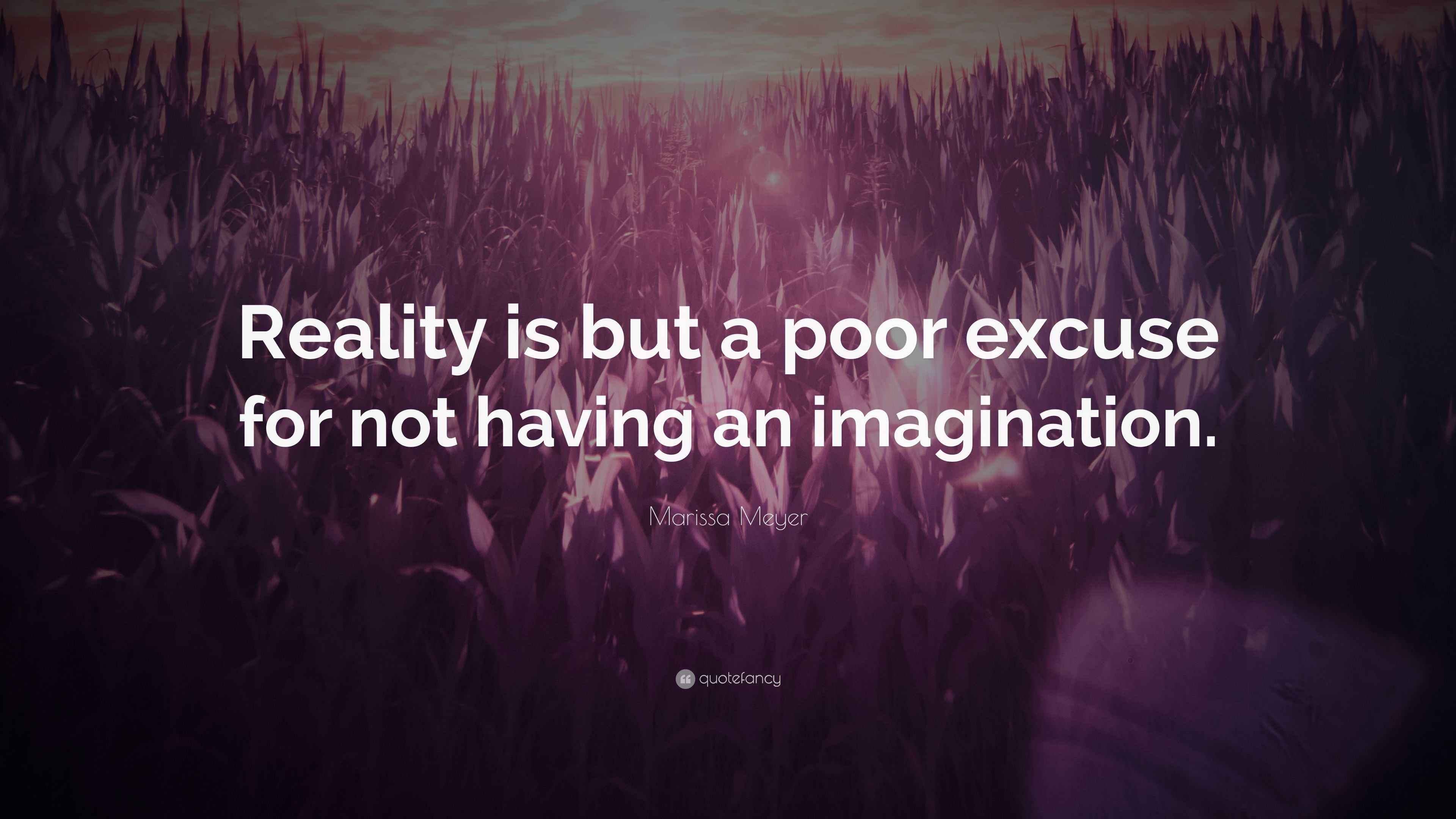 Marissa Meyer Quote: “Reality is but a poor excuse for not having an ...