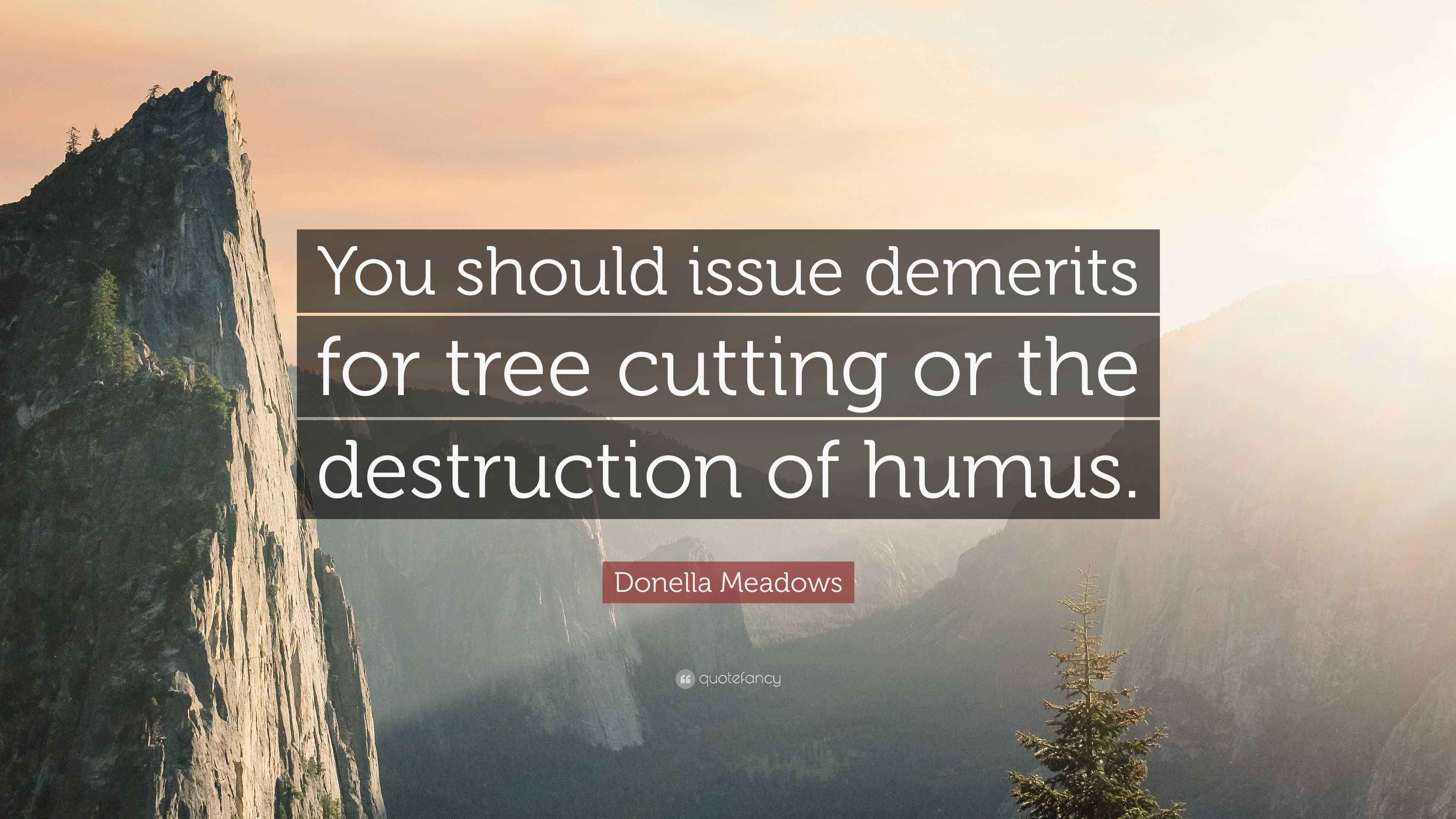 Donella Meadows Quote: “You should issue demerits for tree cutting or ...