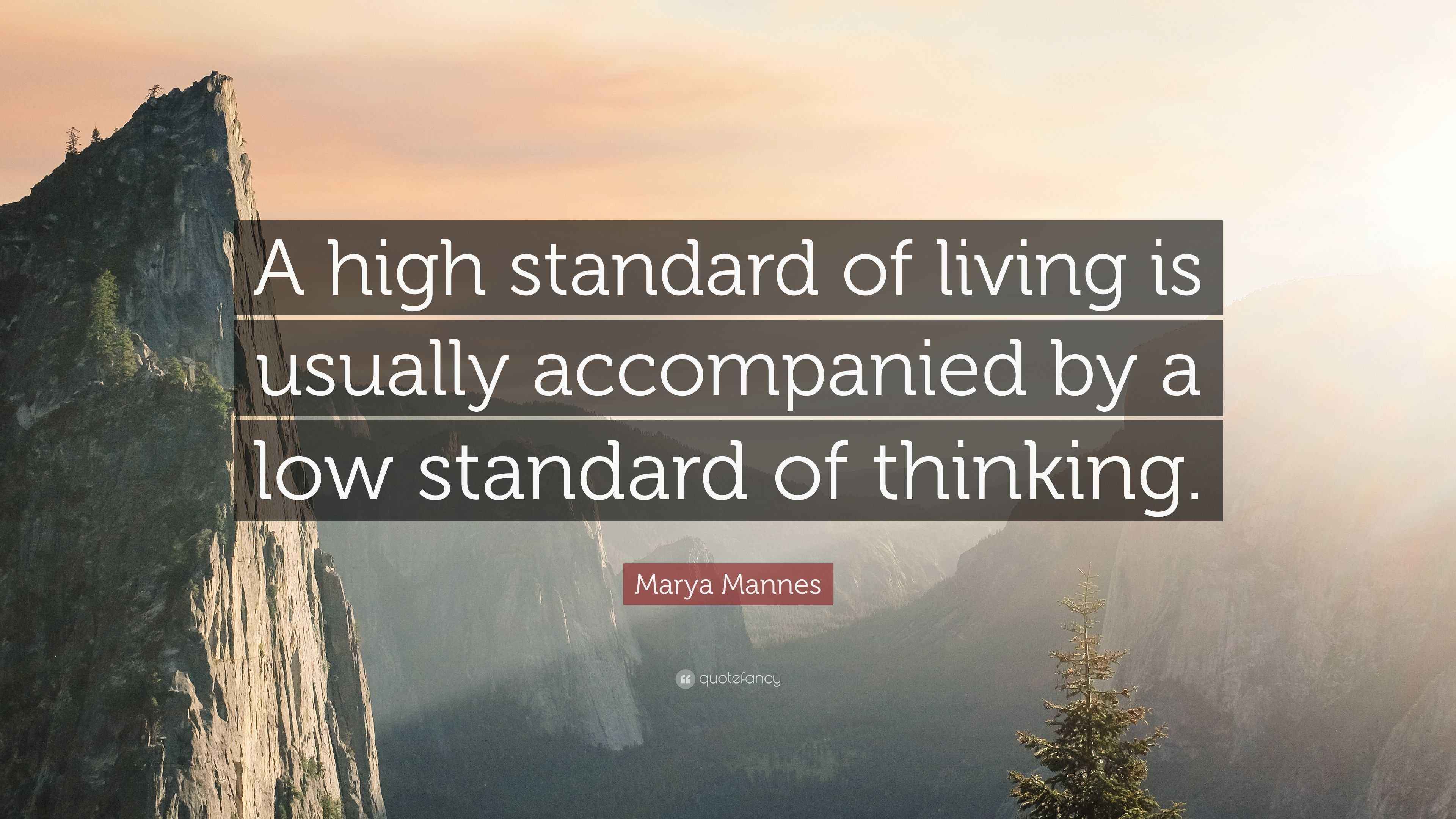 Marya Mannes Quote: “A high standard of living is usually accompanied ...