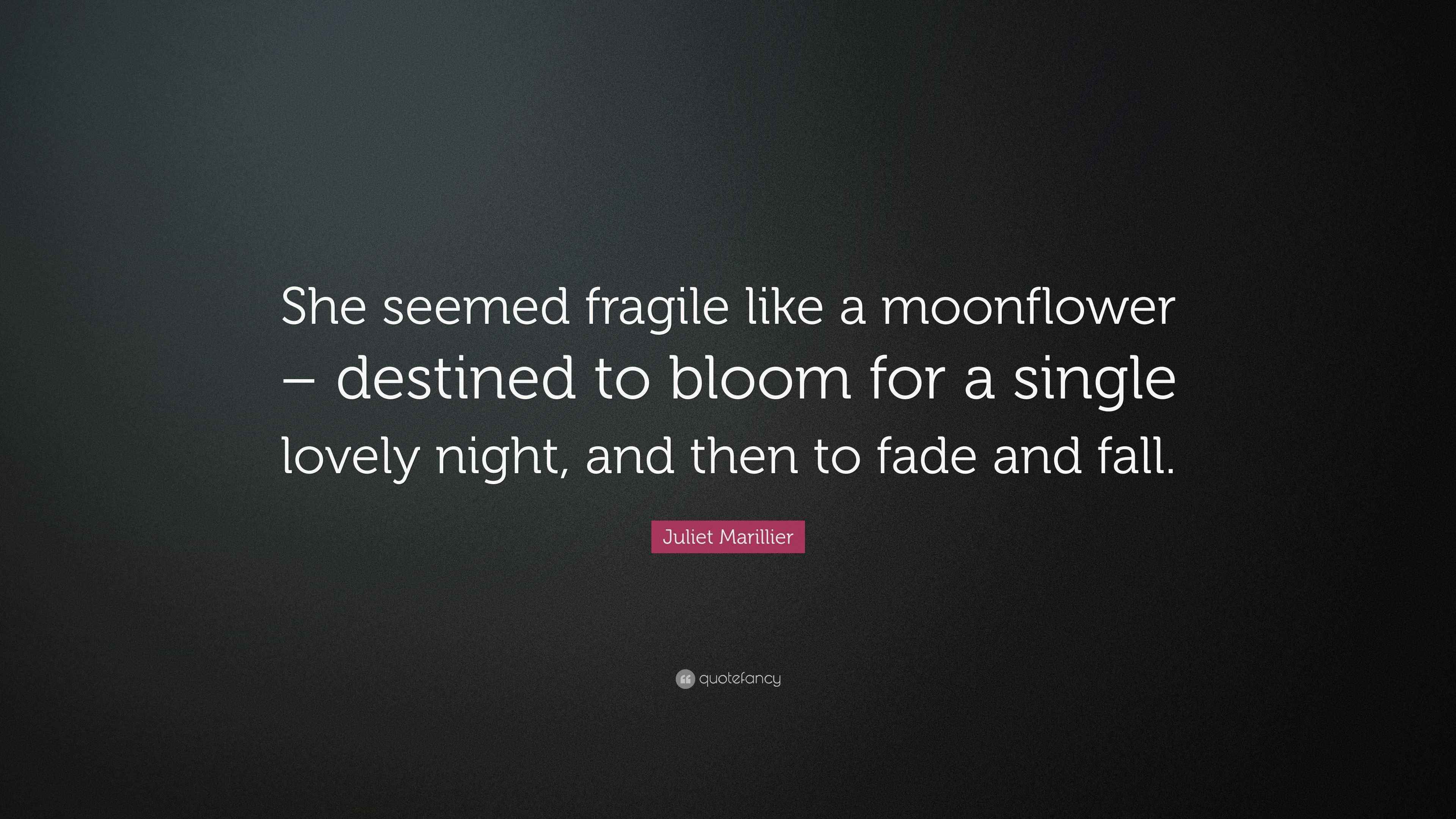 Juliet Marillier Quote: “She seemed fragile like a moonflower ...
