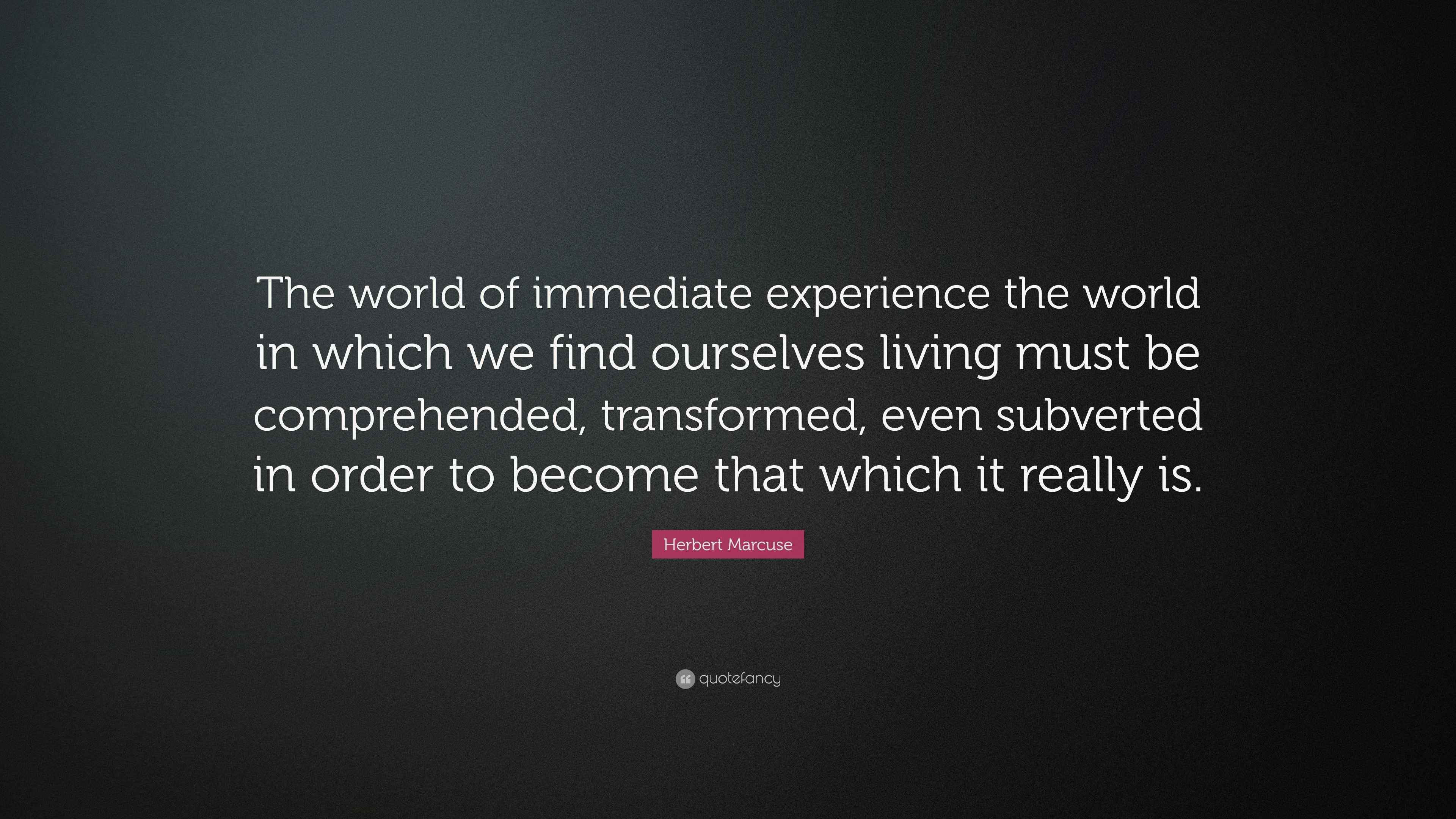 Herbert Marcuse Quote: “The world of immediate experience the world in ...