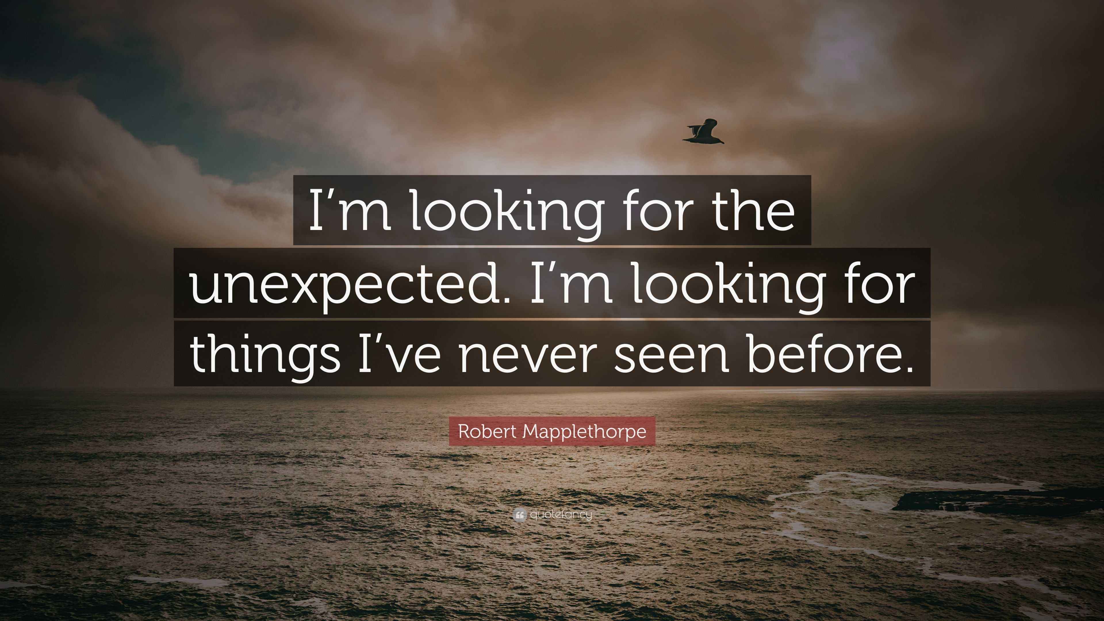 Robert Mapplethorpe Quote: “I’m looking for the unexpected. I’m looking ...