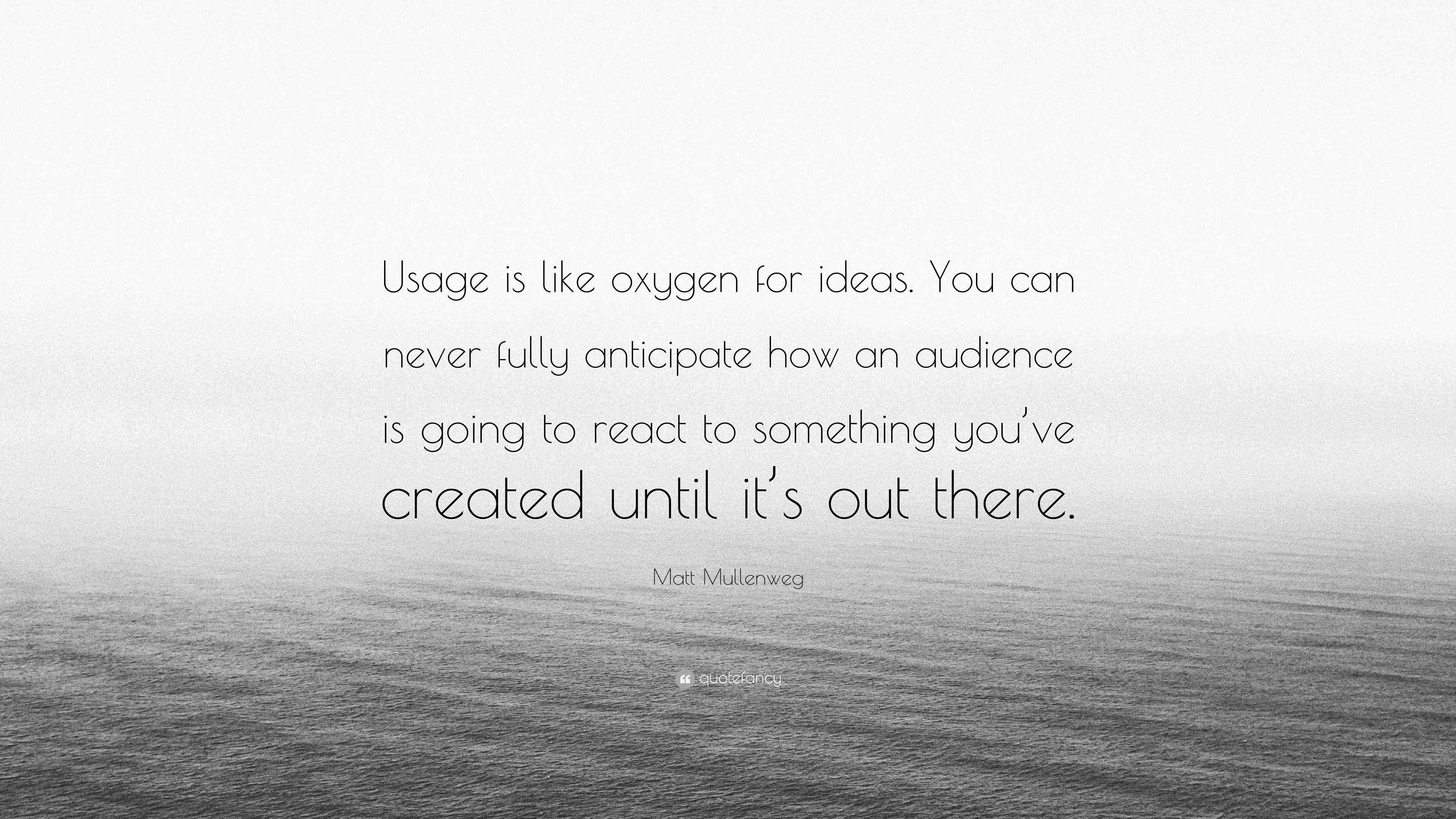 Matt Mullenweg Quote: “Usage is like oxygen for ideas. You can never ...