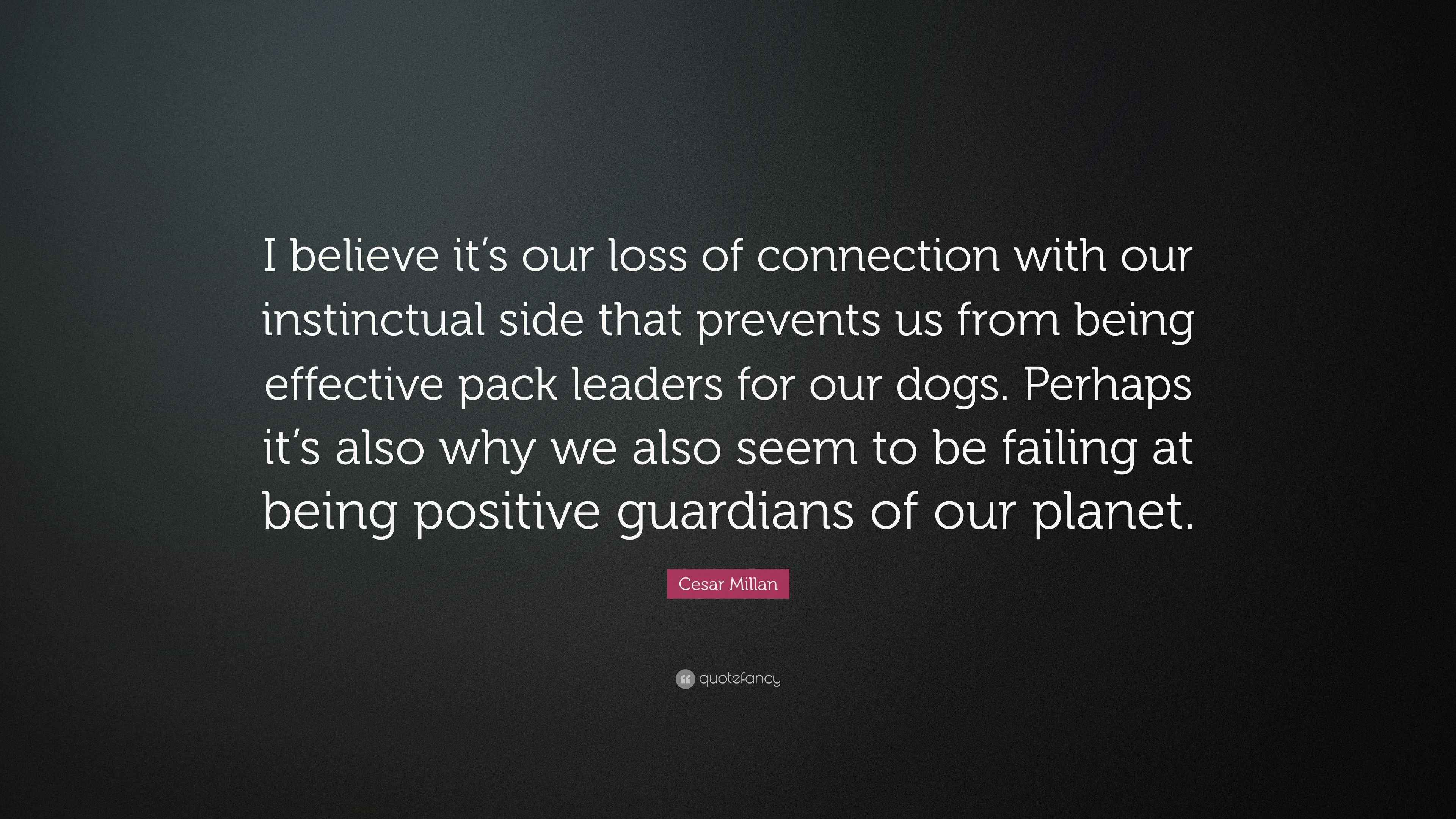 Cesar Millan Quote: “I believe it’s our loss of connection with our ...