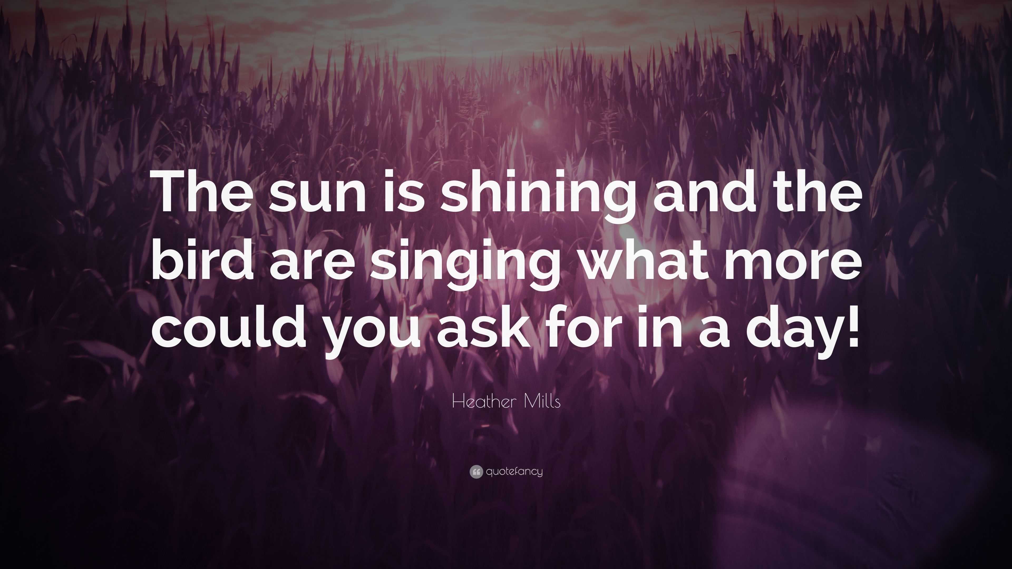 Heather Mills Quote: “The sun is shining and the bird are singing what ...