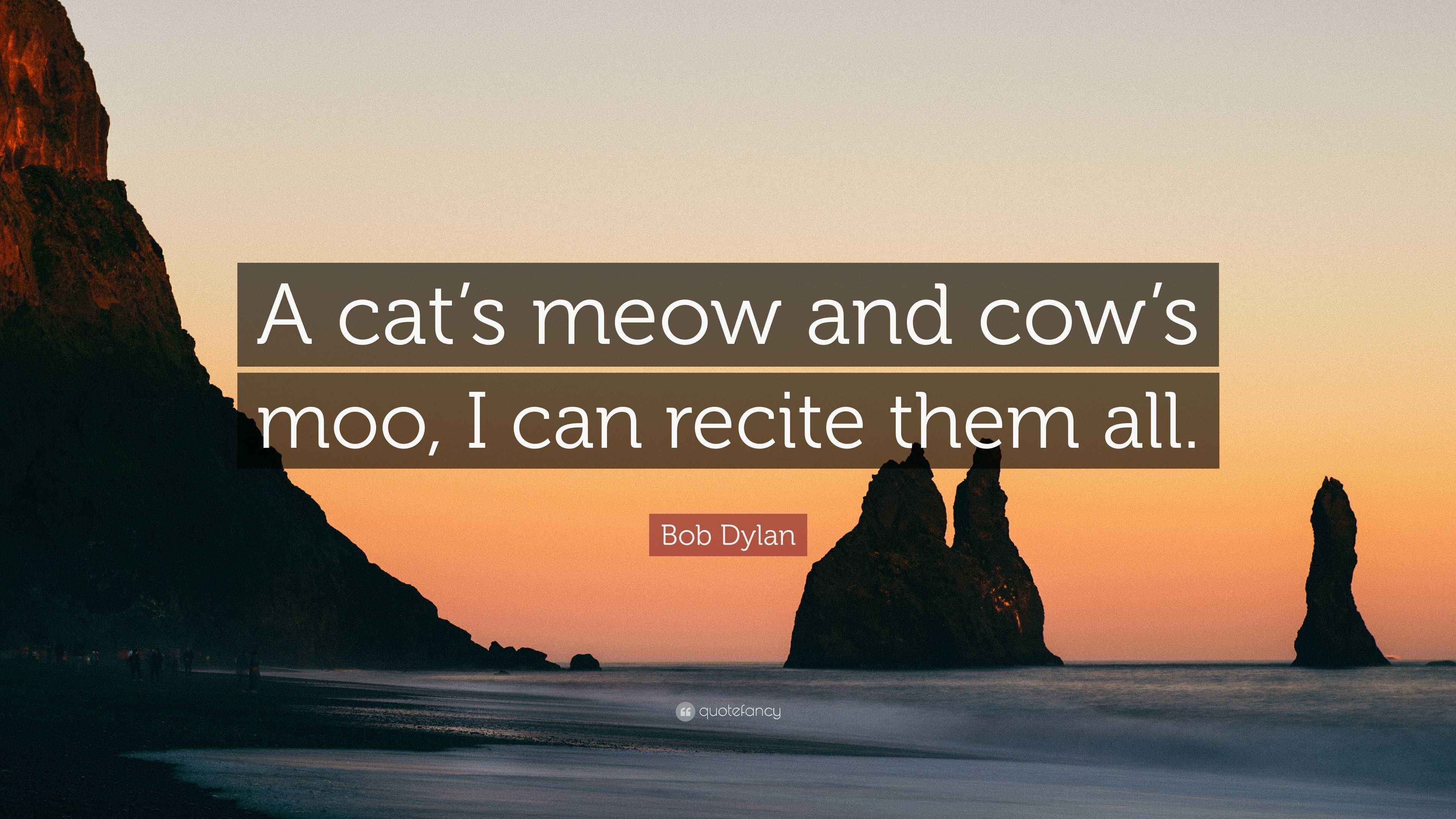 Bob Dylan Quote: “A cat’s meow and cow’s moo, I can recite them all.”