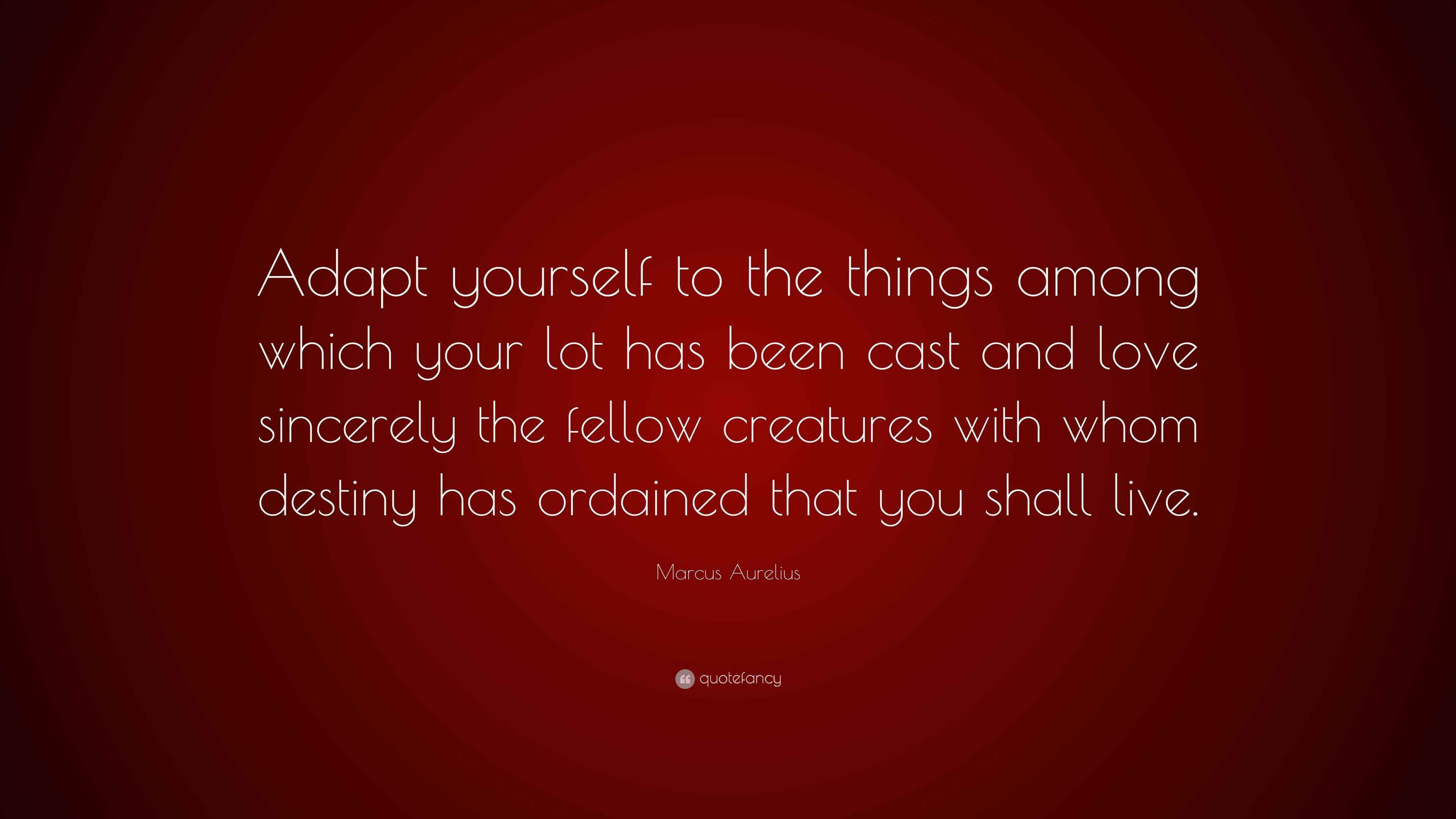 Marcus Aurelius Quote: “Adapt yourself to the things among which your ...
