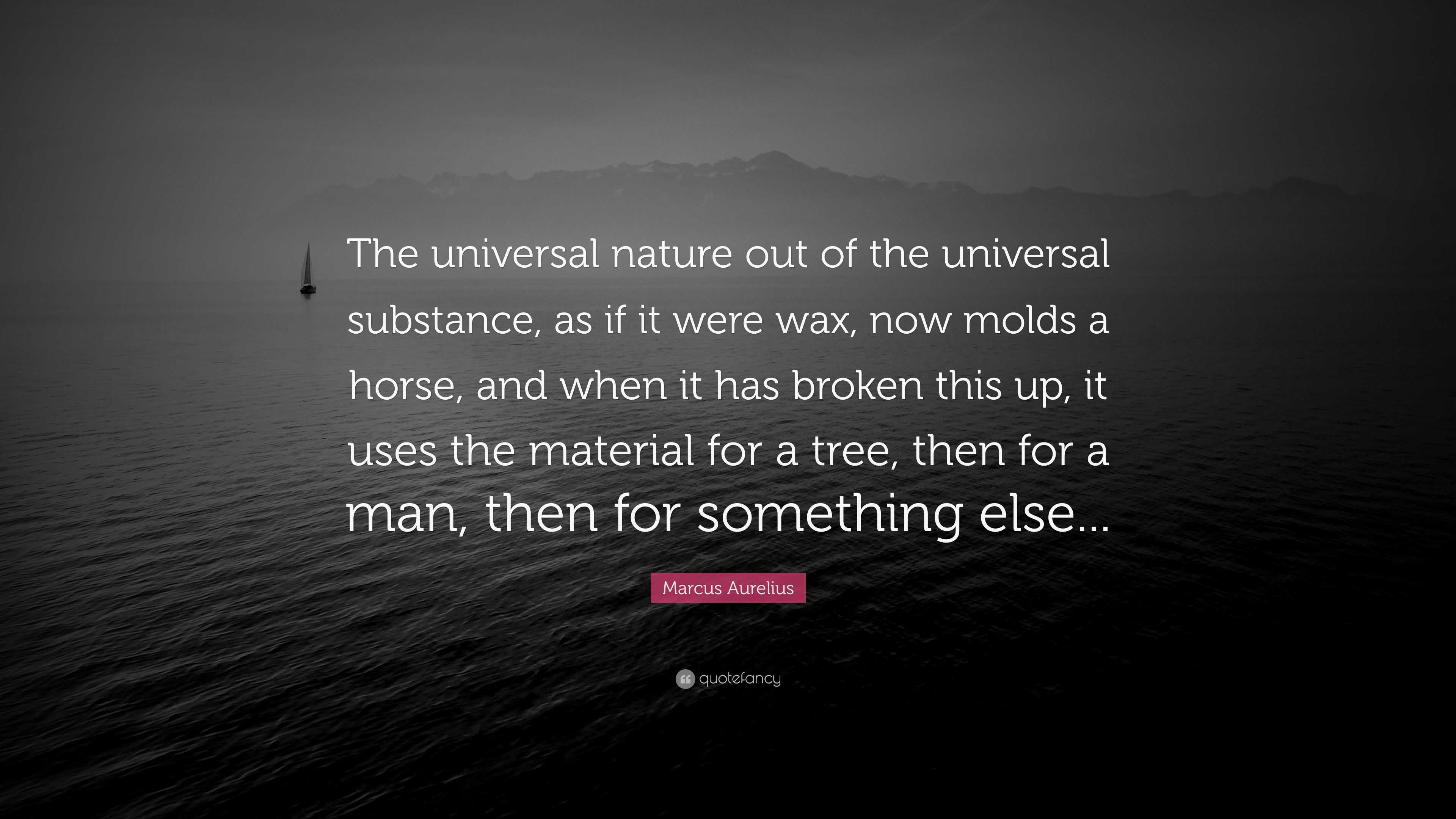 Marcus Aurelius Quote: “The universal nature out of the universal ...