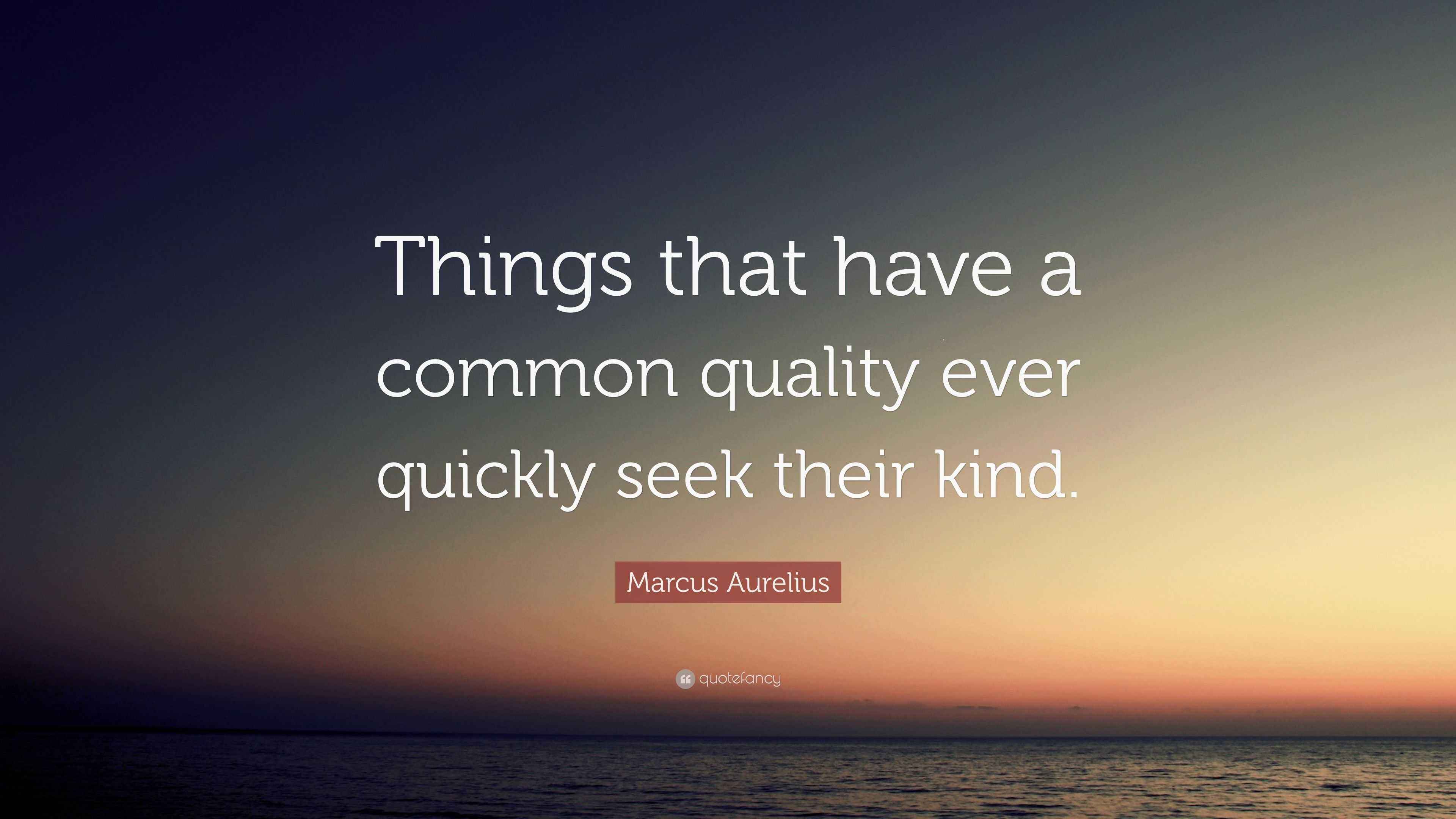 Marcus Aurelius Quote: “Things that have a common quality ever quickly ...