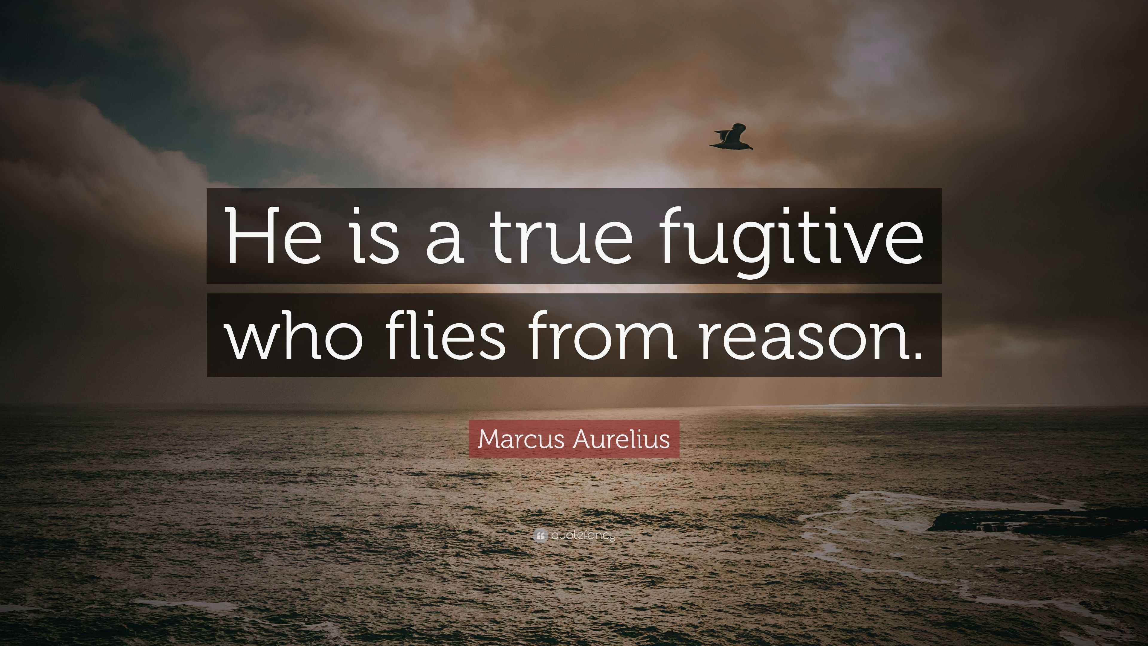 Marcus Aurelius Quote: “He is a true fugitive who flies from reason.”
