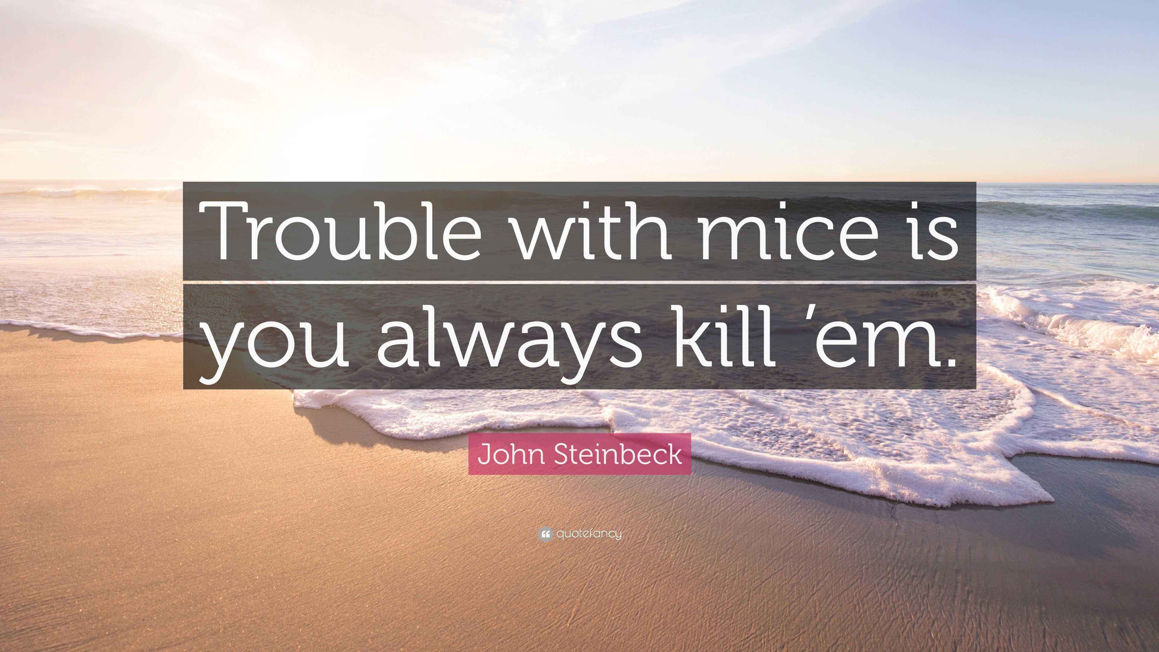 John Steinbeck Quote: “Trouble with mice is you always kill ’em.”