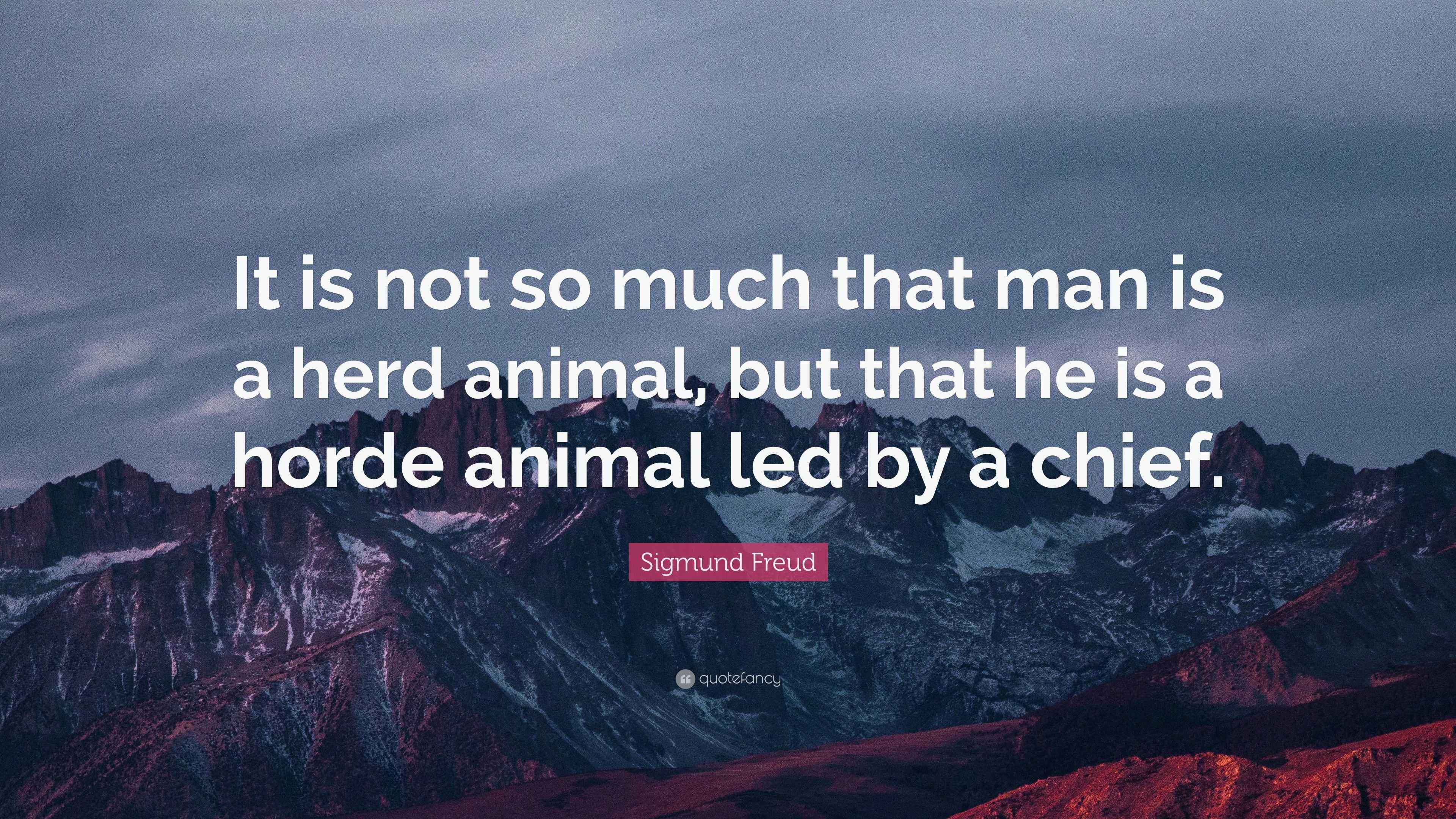 Sigmund Freud Quote: “It is not so much that man is a herd animal, but ...