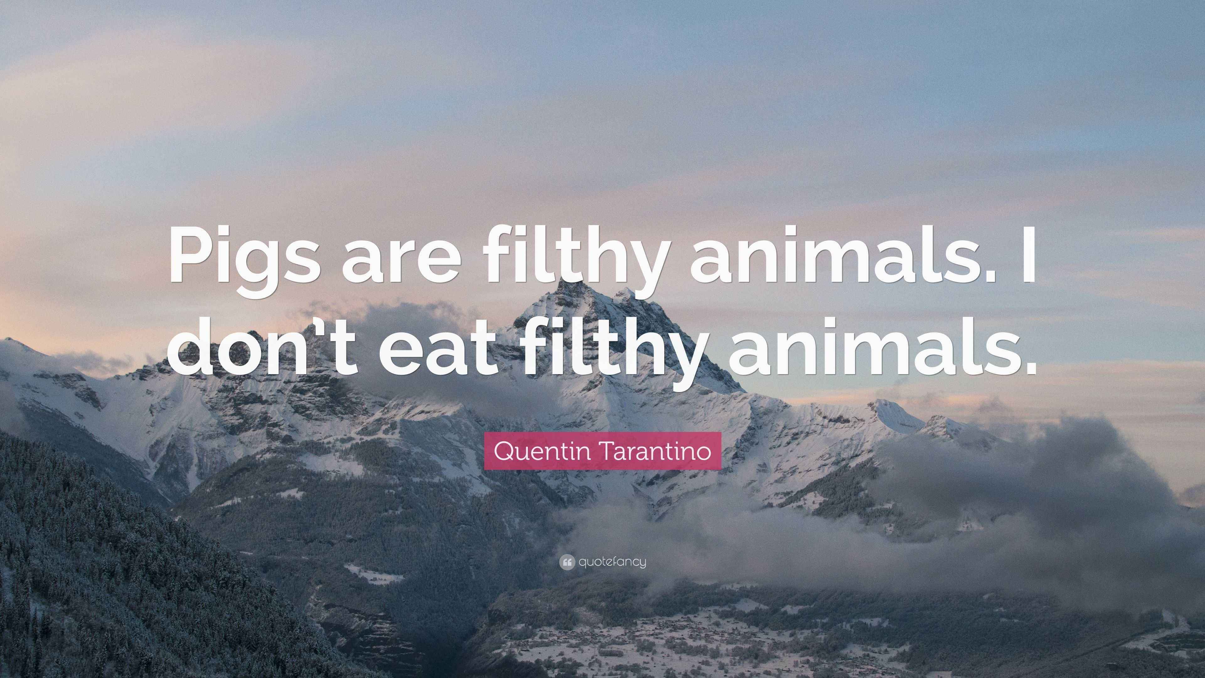 Quentin Tarantino Quote: “Pigs are filthy animals. I don’t eat filthy ...