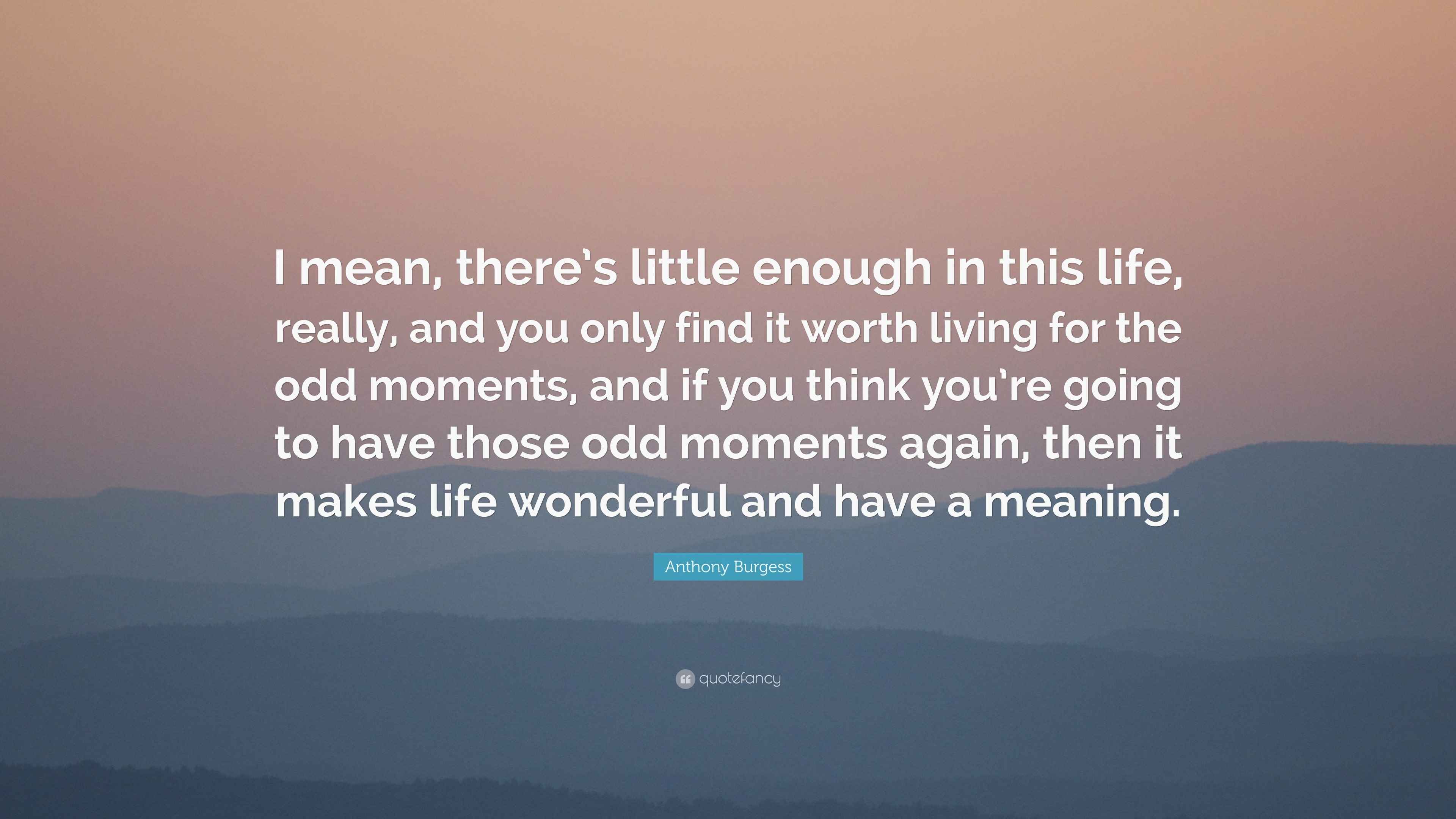 Anthony Burgess Quote: “I mean, there’s little enough in this life ...