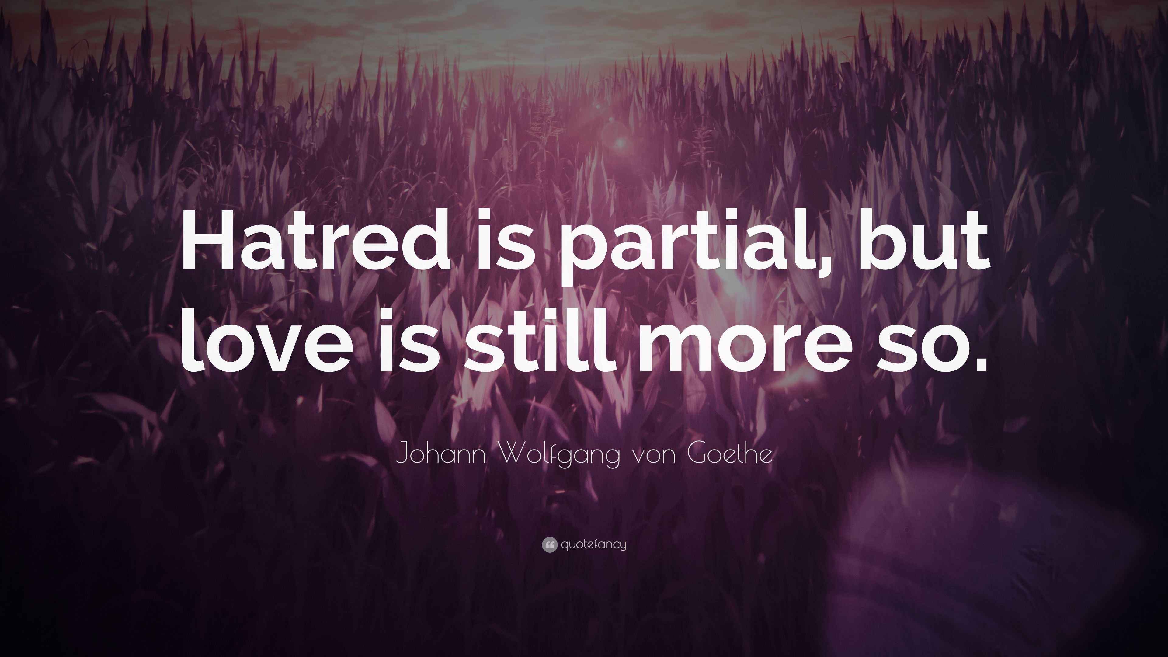 Johann Wolfgang von Goethe Quote: “Hatred is partial, but love is still ...