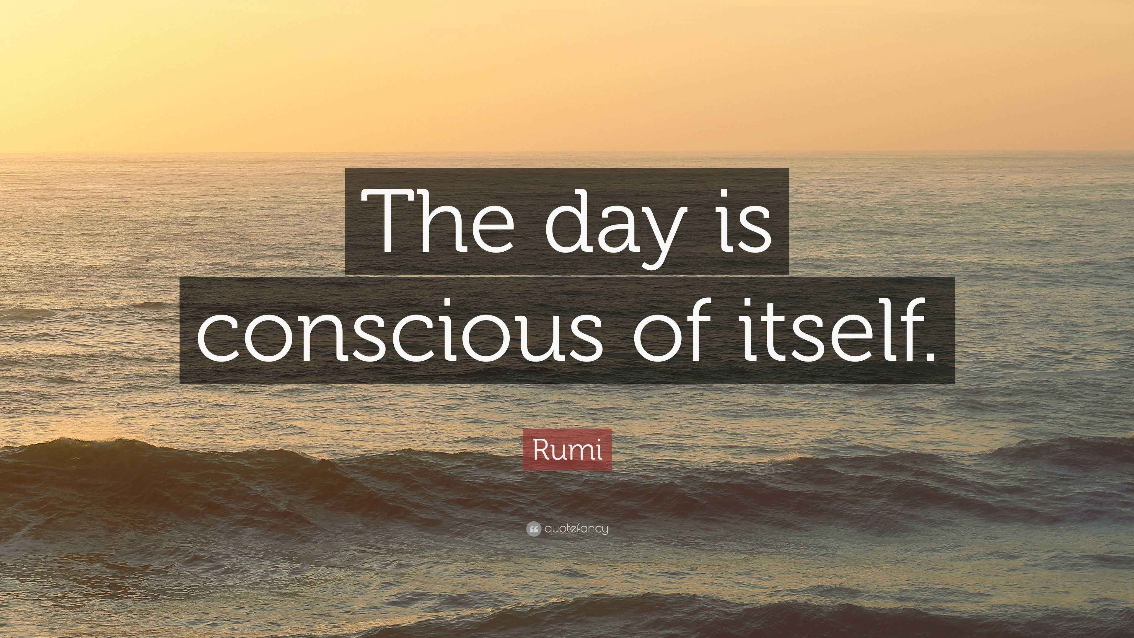 Rumi Quote: “The day is conscious of itself.”