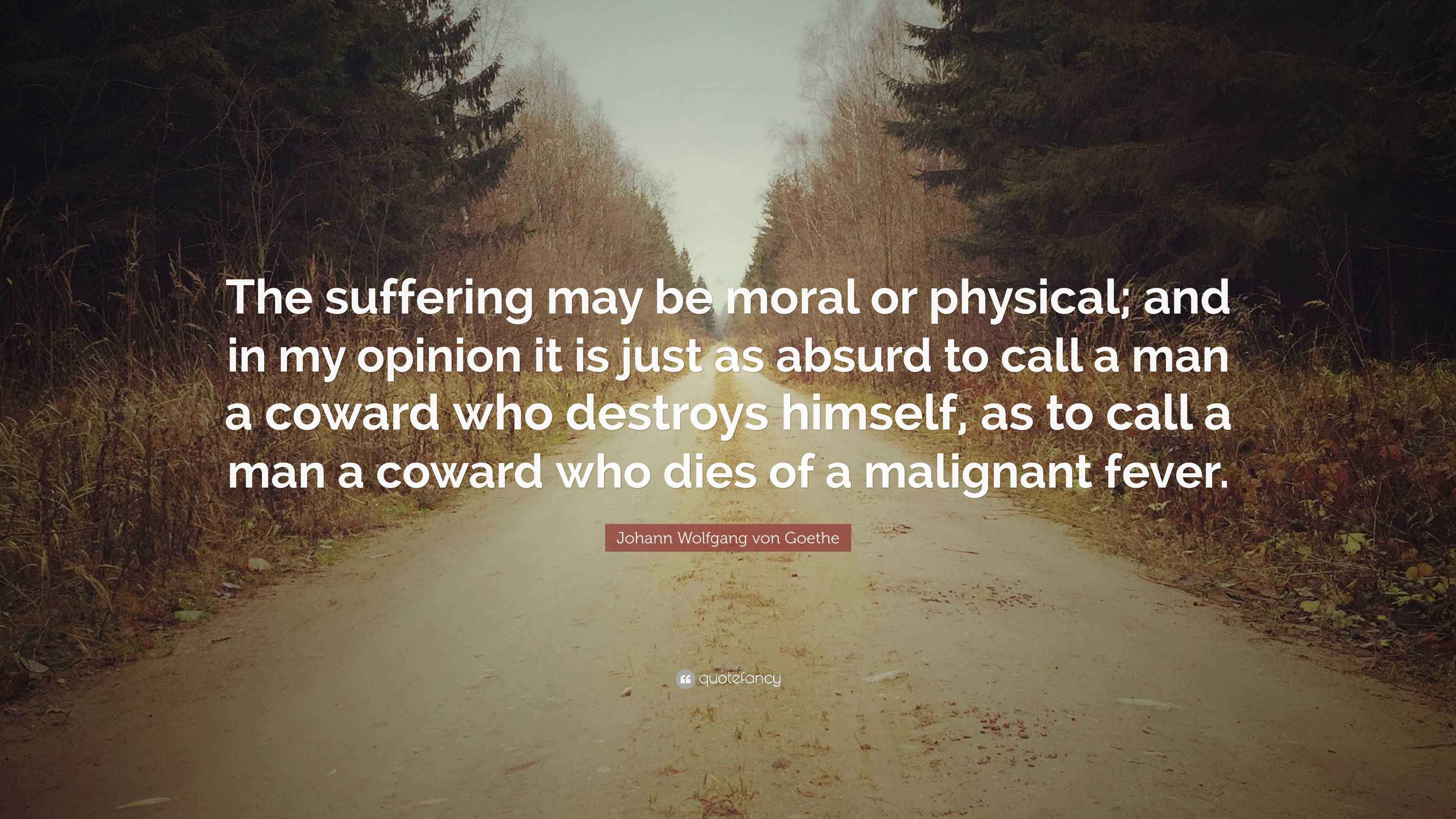 Johann Wolfgang von Goethe Quote: “The suffering may be moral or ...