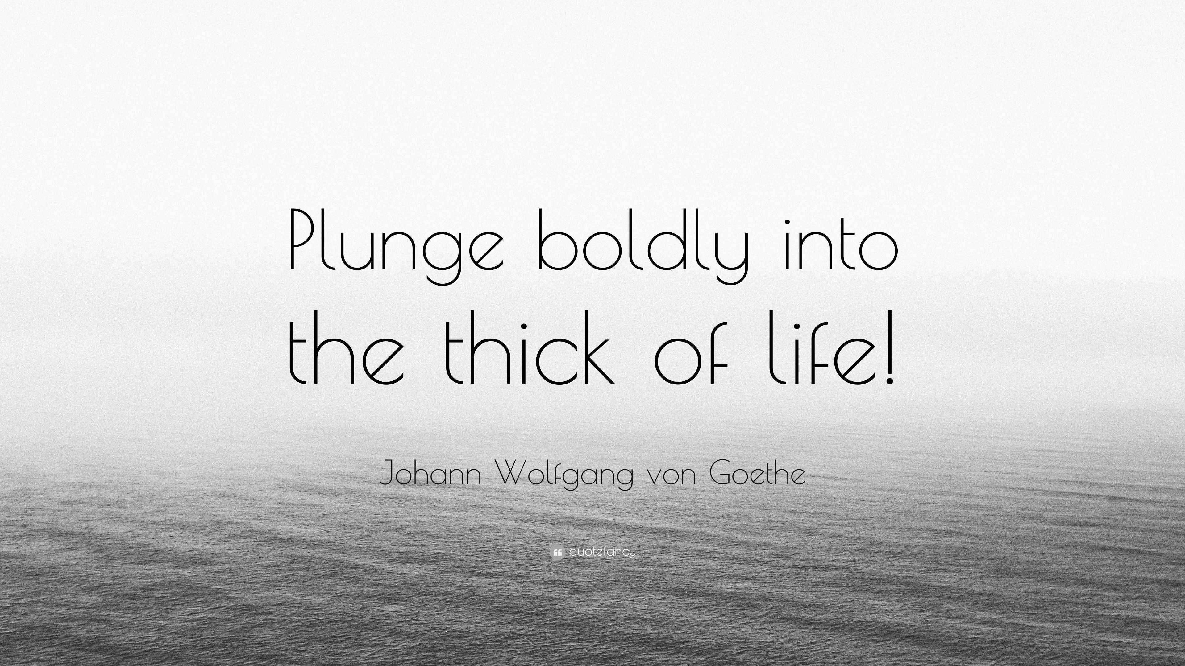Johann Wolfgang von Goethe Quote: “Plunge boldly into the thick of life!”