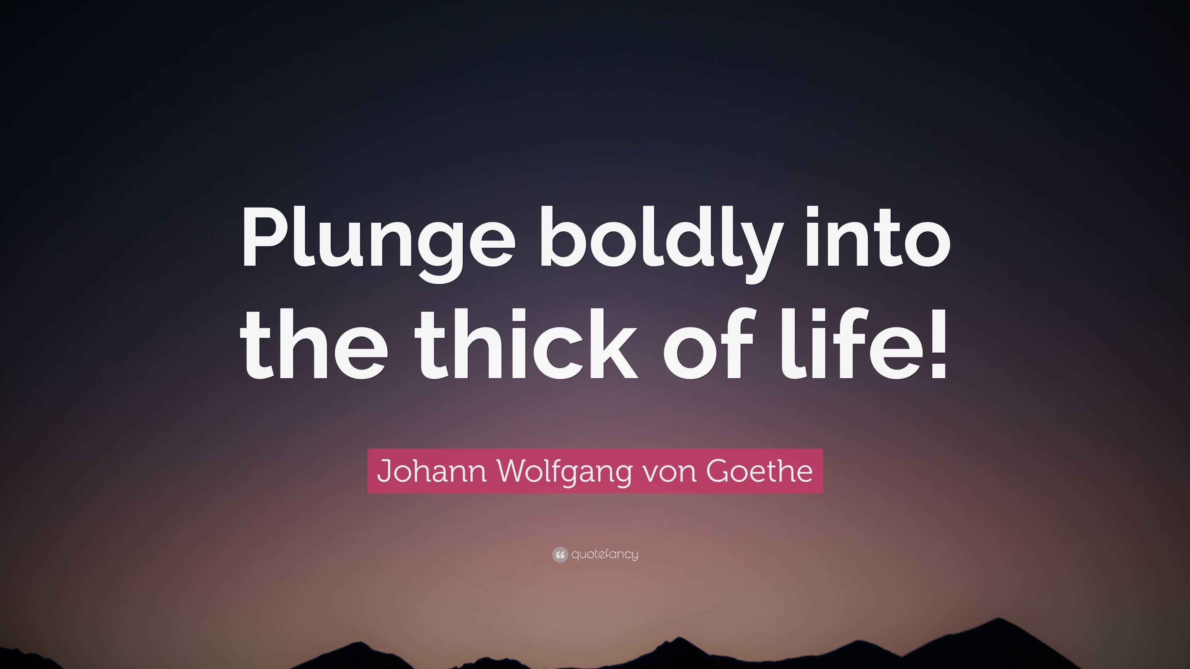 Johann Wolfgang von Goethe Quote: “Plunge boldly into the thick of life!”