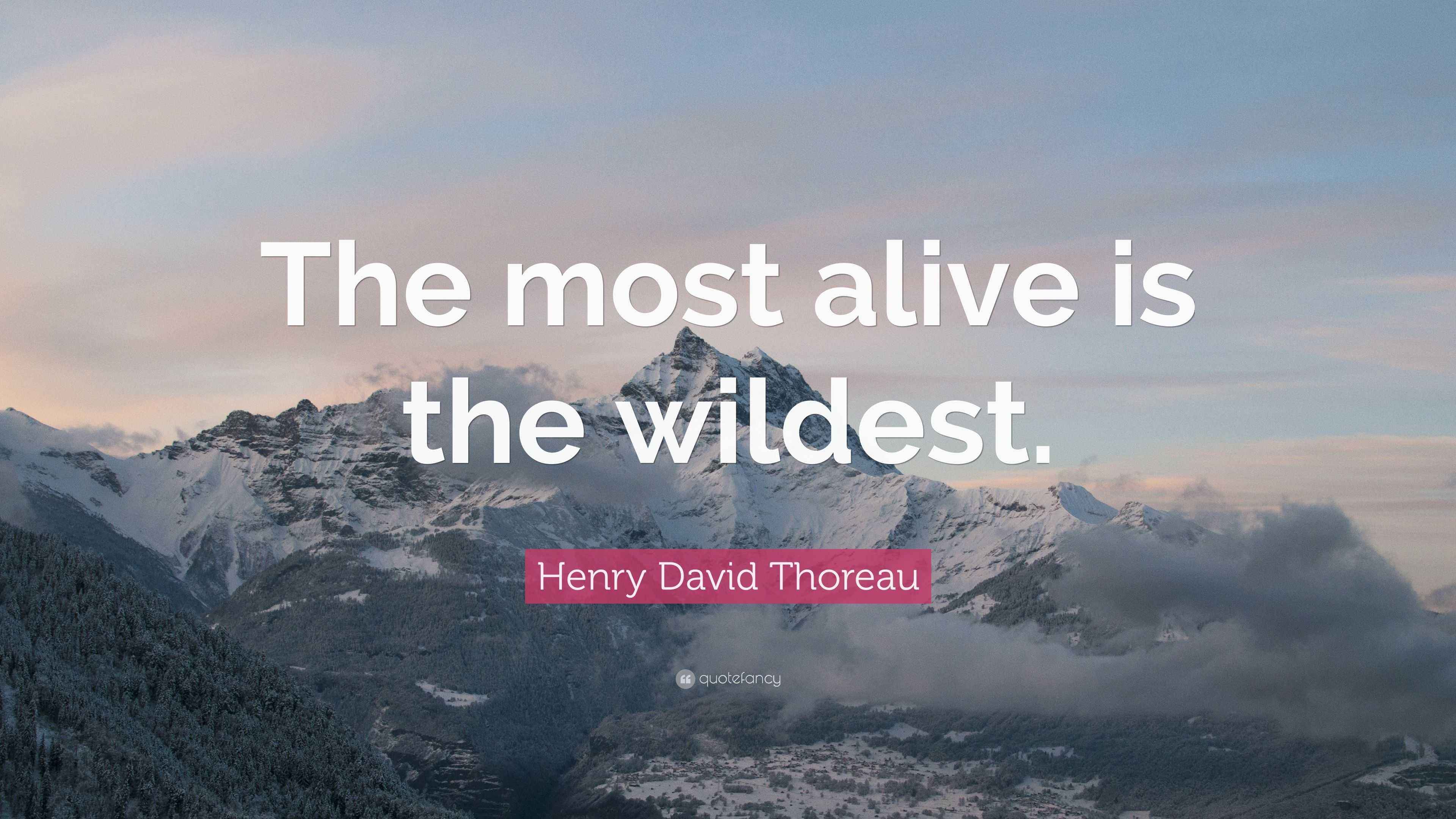 Henry David Thoreau Quote: “The most alive is the wildest.”